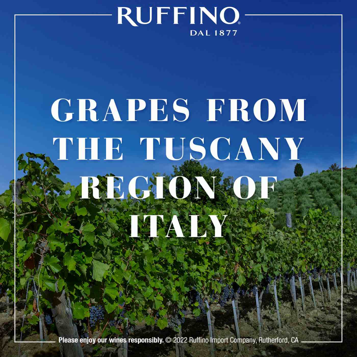 Ruffino Modus Toscana IGT Red Blend, Italian Red Wine 750 mL Bottle ...