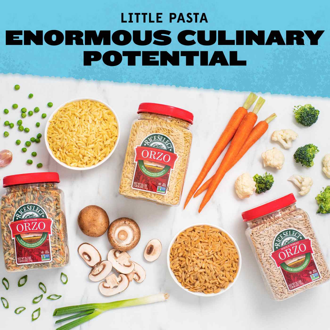 Rice Select Whole Wheat Orzo - Shop Pasta at H-E-B