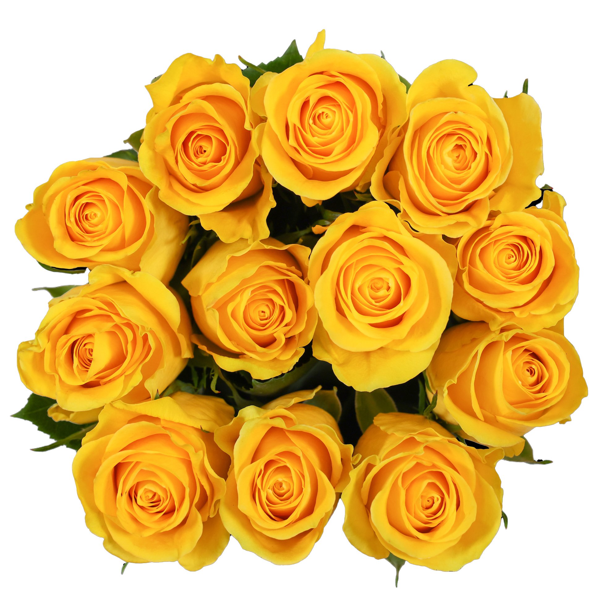 BLOOMS by H-E-B Dozen Yellow Roses - Shop Flowers & arrangements at H-E-B