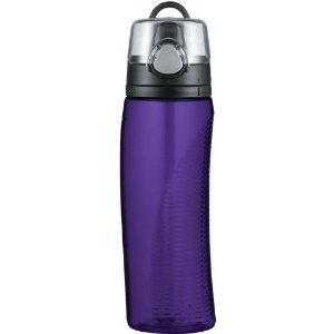 Thermos Deep Purple Hydration Bottle with Meter - Shop Kitchen & Dining ...