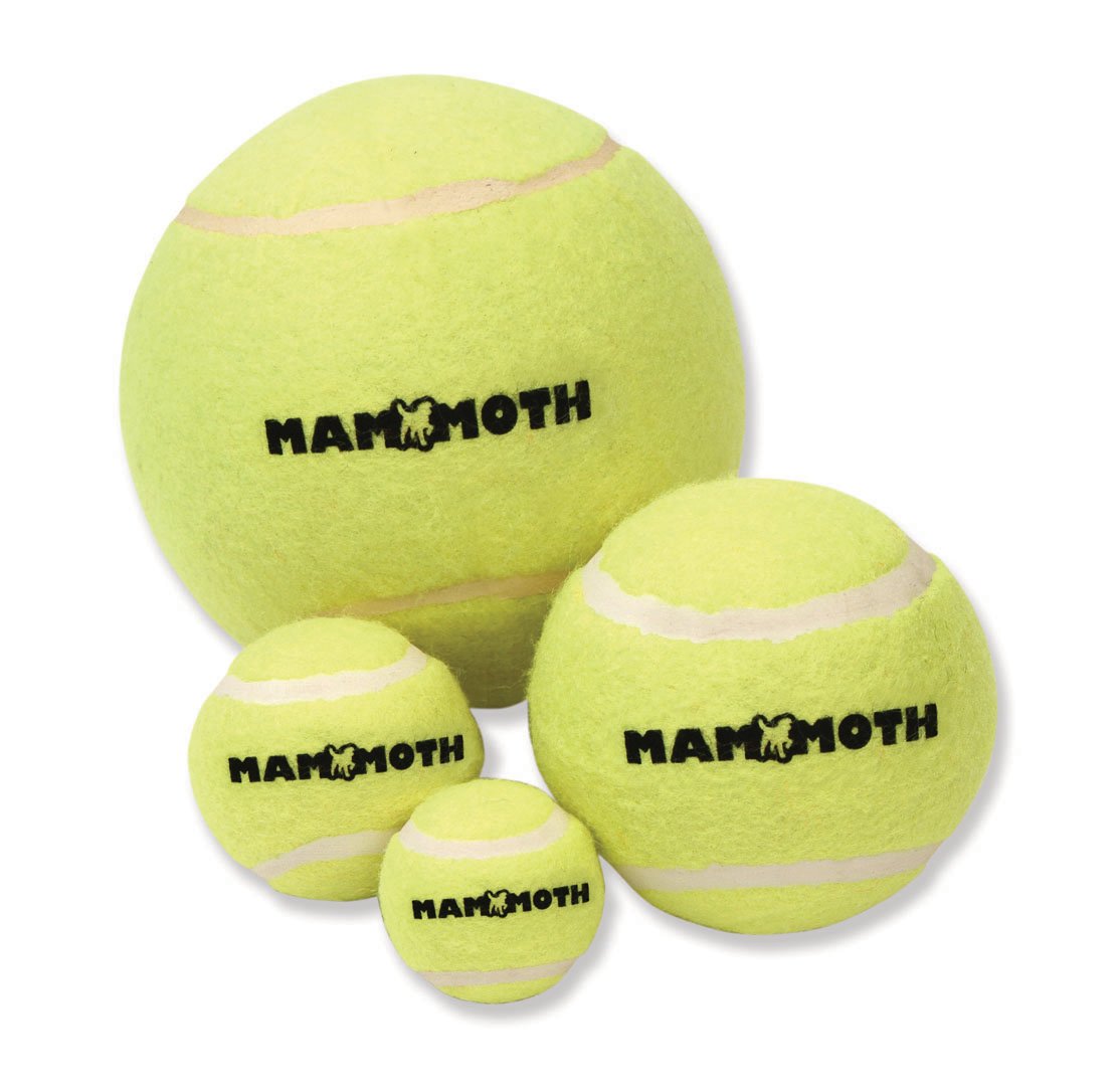 Mammoth Flossy Chews Standard Size Tennis Ball - Shop Balls & Fetch ...