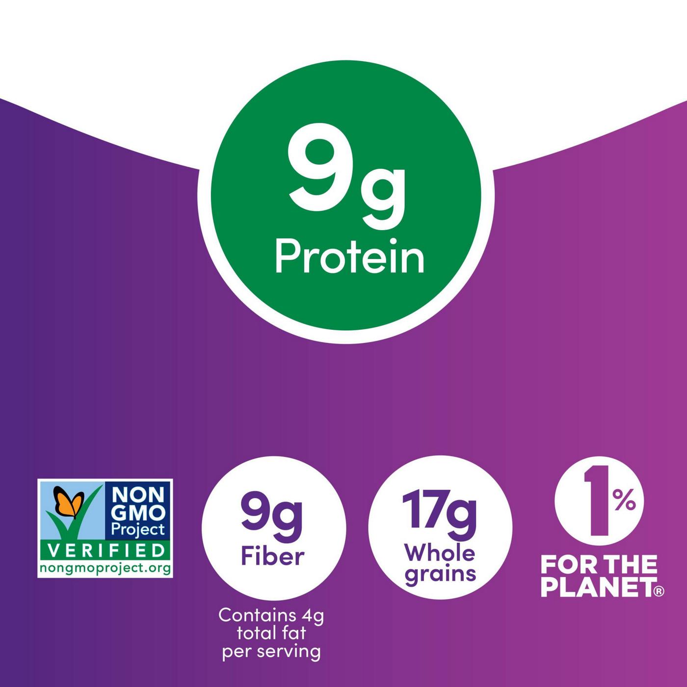 Kashi GO Toasted Berry Crisp Breakfast Cereal - Shop Cereal at H-E-B