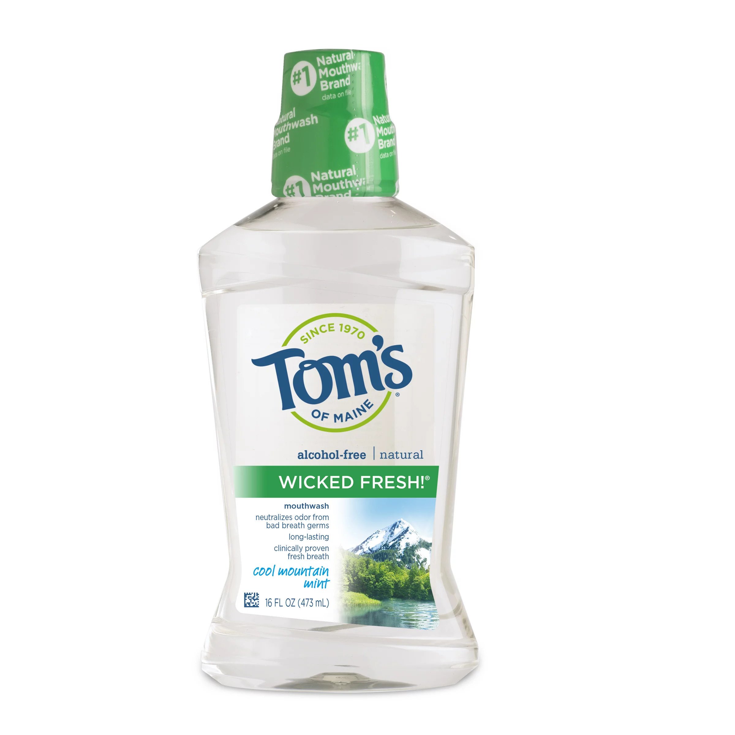 Tom's of Maine Wicked Fresh! Mouthwash - Cool Mountain Mint, 16 oz ...