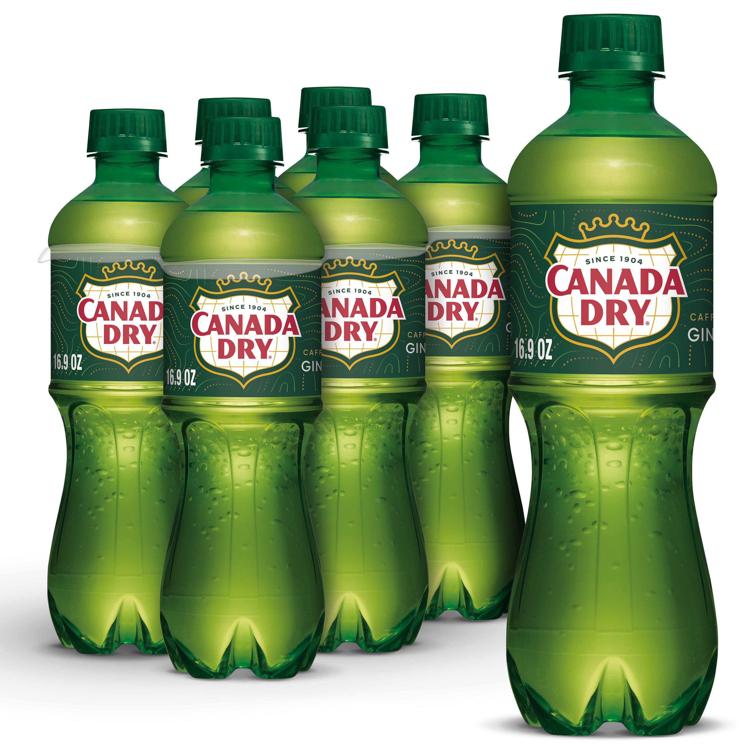 Canada Dry Ginger Ale Soda 6 pk Bottles - Shop Soda at H-E-B