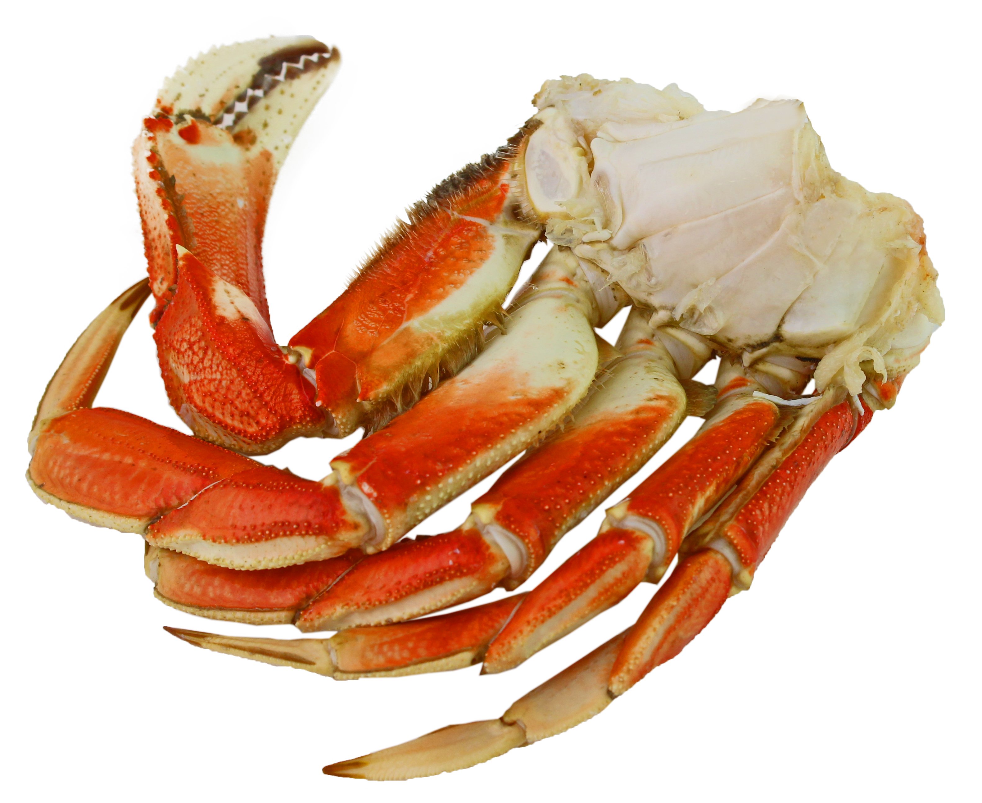 Dungeness Crab Clusters Cooked, by lb | Central Market - Really Into Food