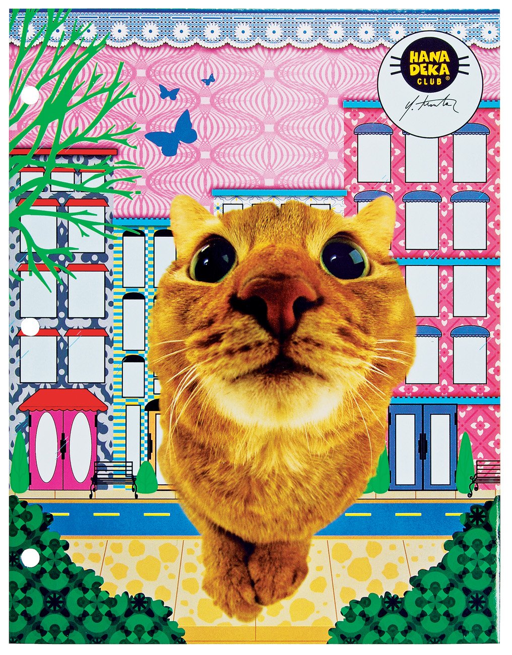 Top Flight Hanadeka Portfolio Folder - Shop School & Office Supplies at ...