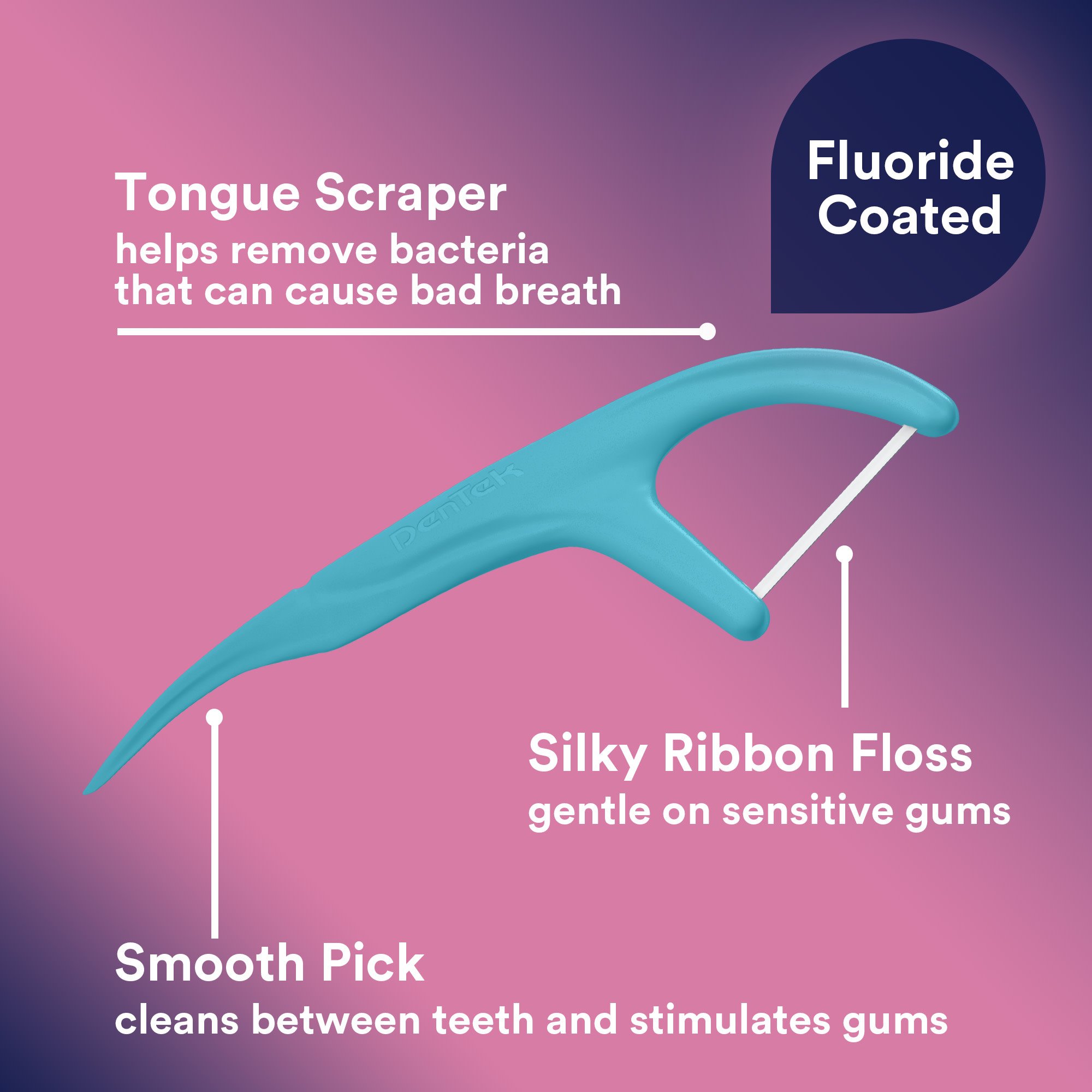 Dentek Floss Picks