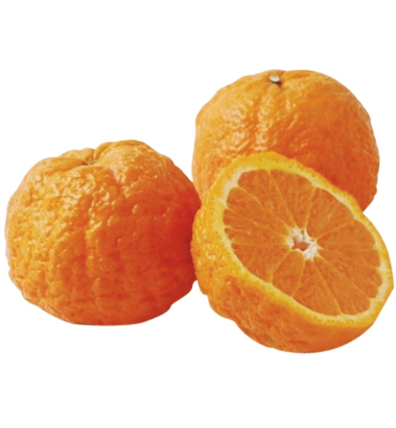 Fresh Dekopon Citrus - Shop Citrus at H-E-B