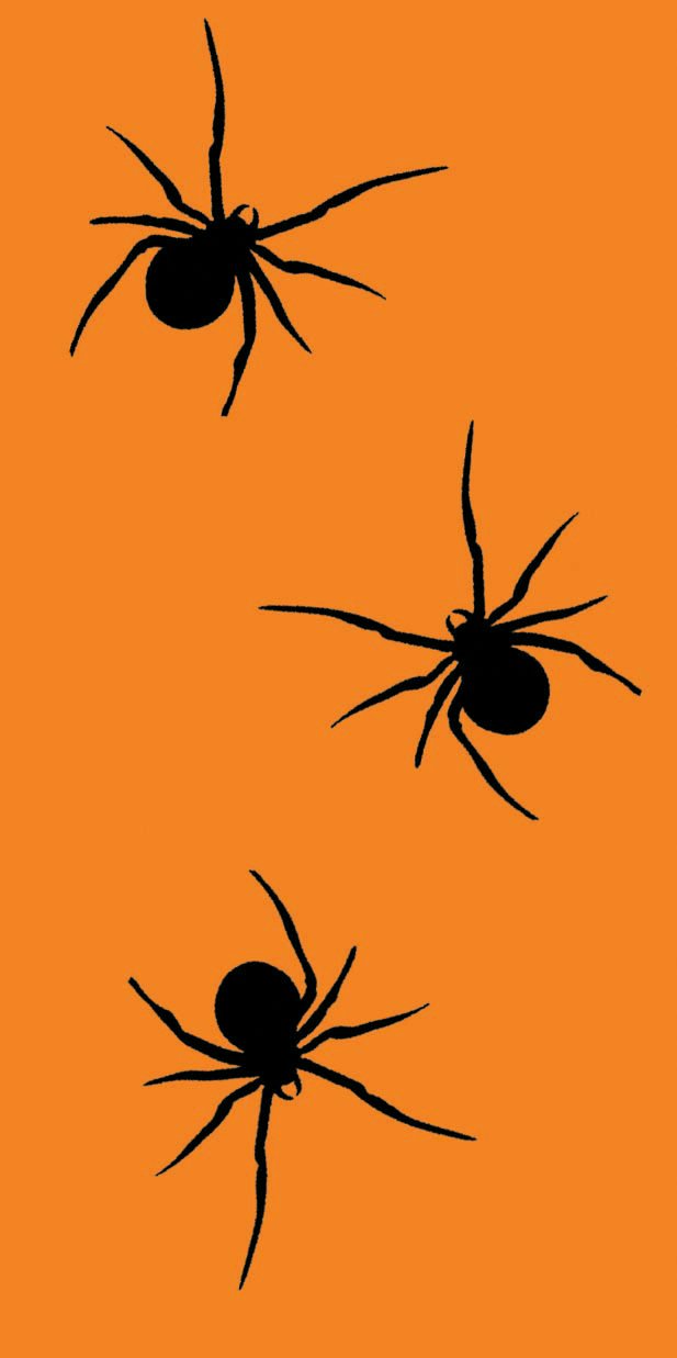 Creative Converting Spooky Spiders Swankies - Shop at H-E-B