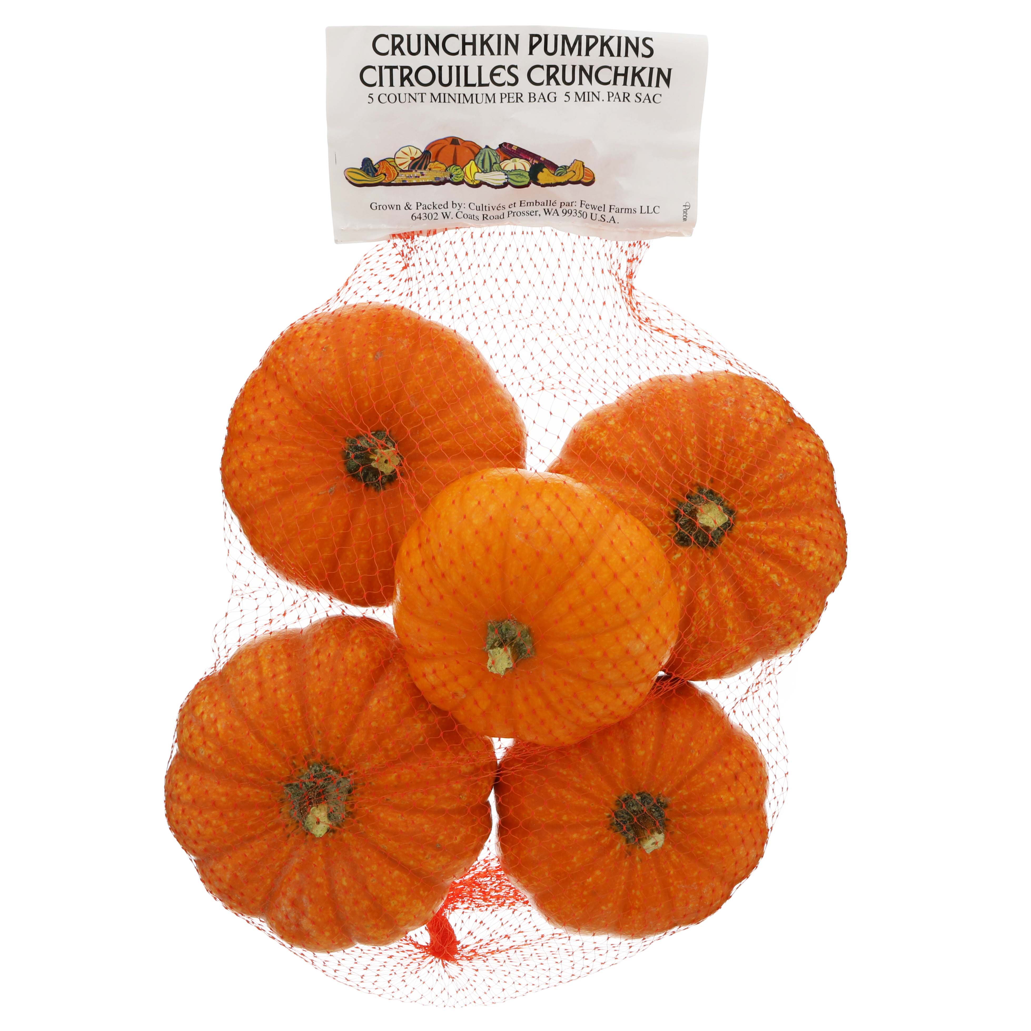 Fall Ornamentals Crunchkin Hard Shell Decorative Pumpkins - Shop ...