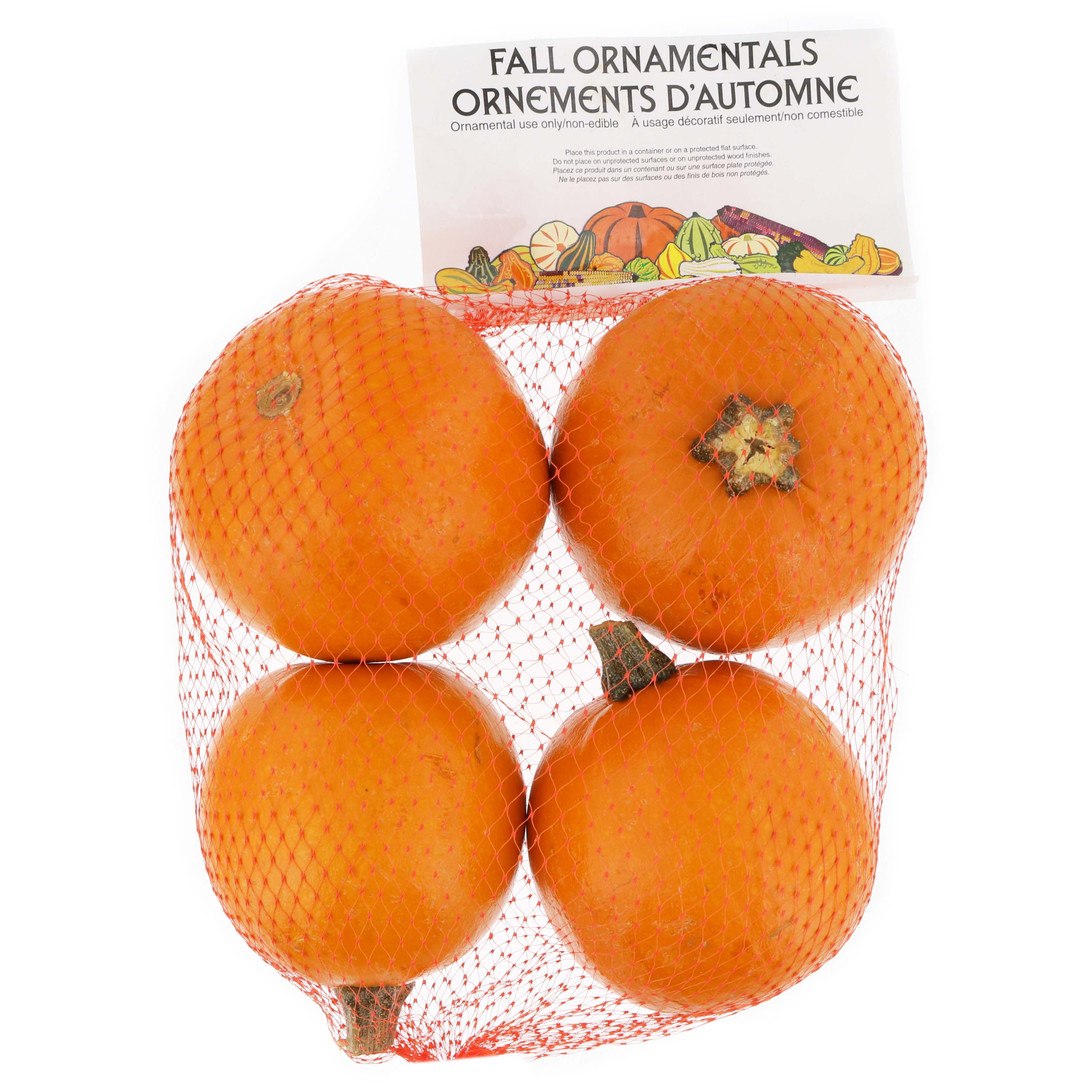 Fall Ornamentals Wee Bee Little Pumpkins - Shop Seasonal decor at H-E-B