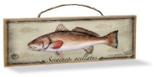 Advanced Graphics Redfish Wood Sign - Shop Fishing at H-E-B