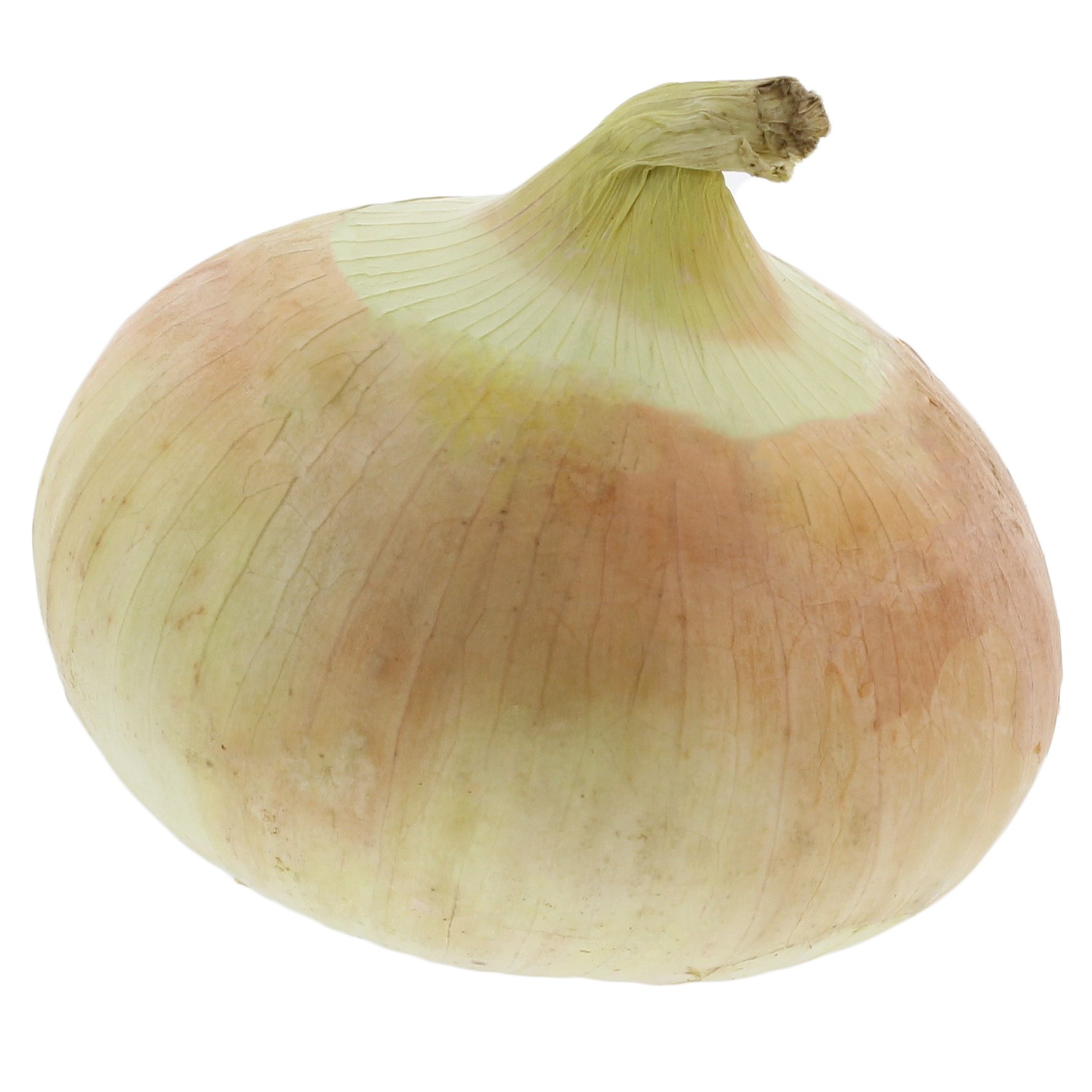 Fresh Sweet Onion Bag - Shop Onions & garlic at H-E-B