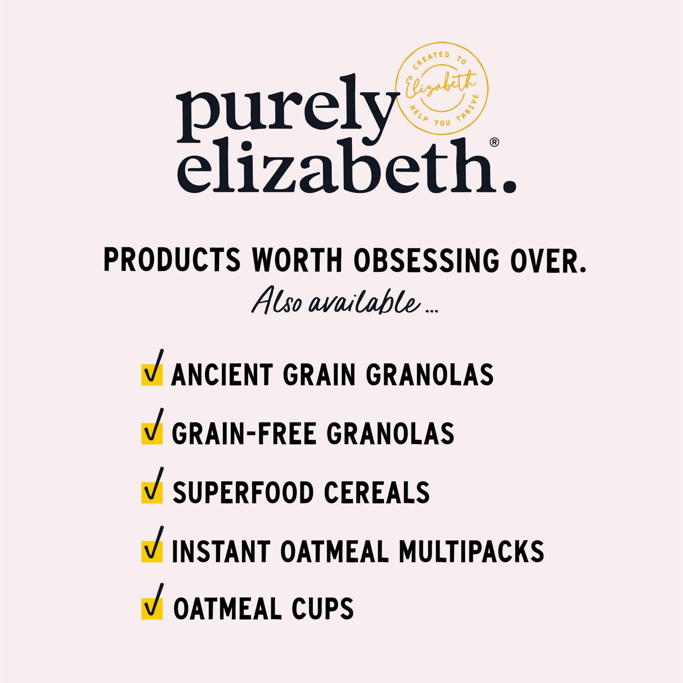 Purely Elizabeth Organic Blueberry Hemp Ancient Grain Granola - Shop ...