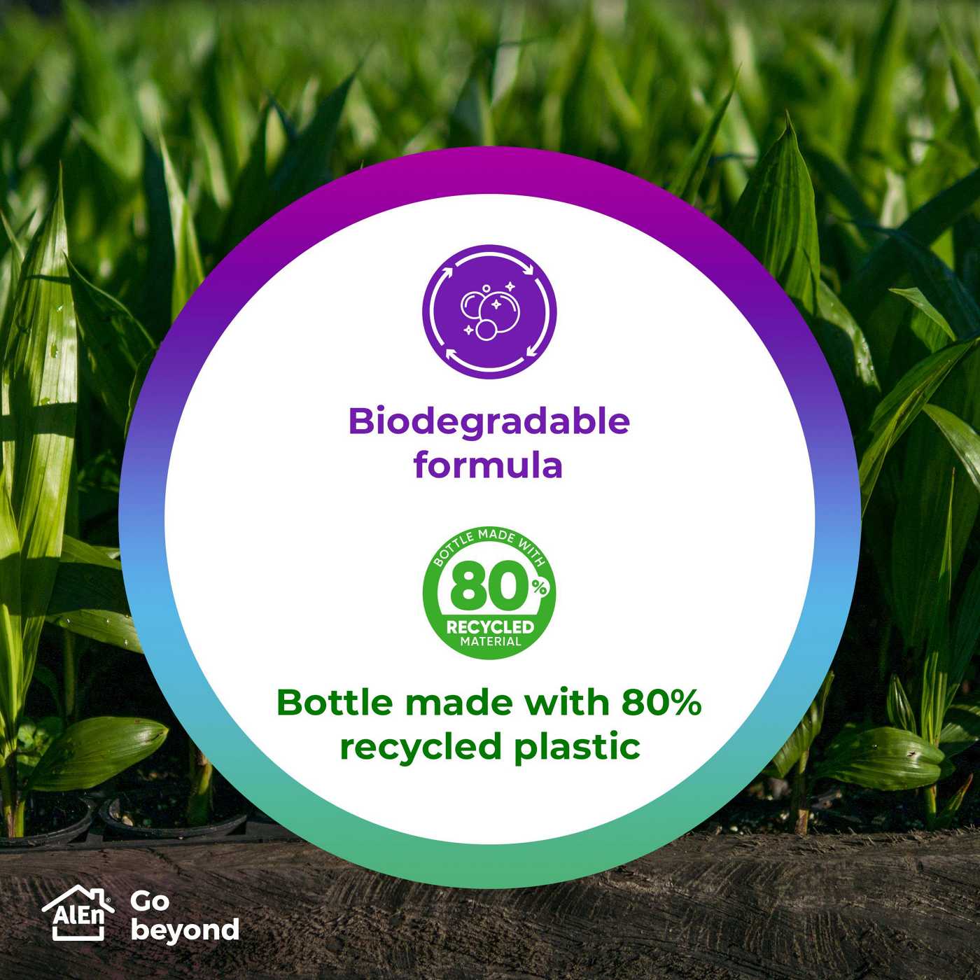 Ensueno Max HE Liquid Fabric Softener, 123 Loads - Spring Fresh - Shop ...