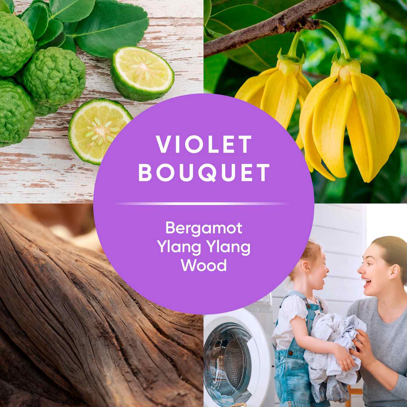 Ensueno Max Liquid Fabric Softener - Violet Bouquet, 124 Loads - Shop ...