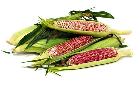 Fresh Red Sweet Corn - Shop Corn at H-E-B