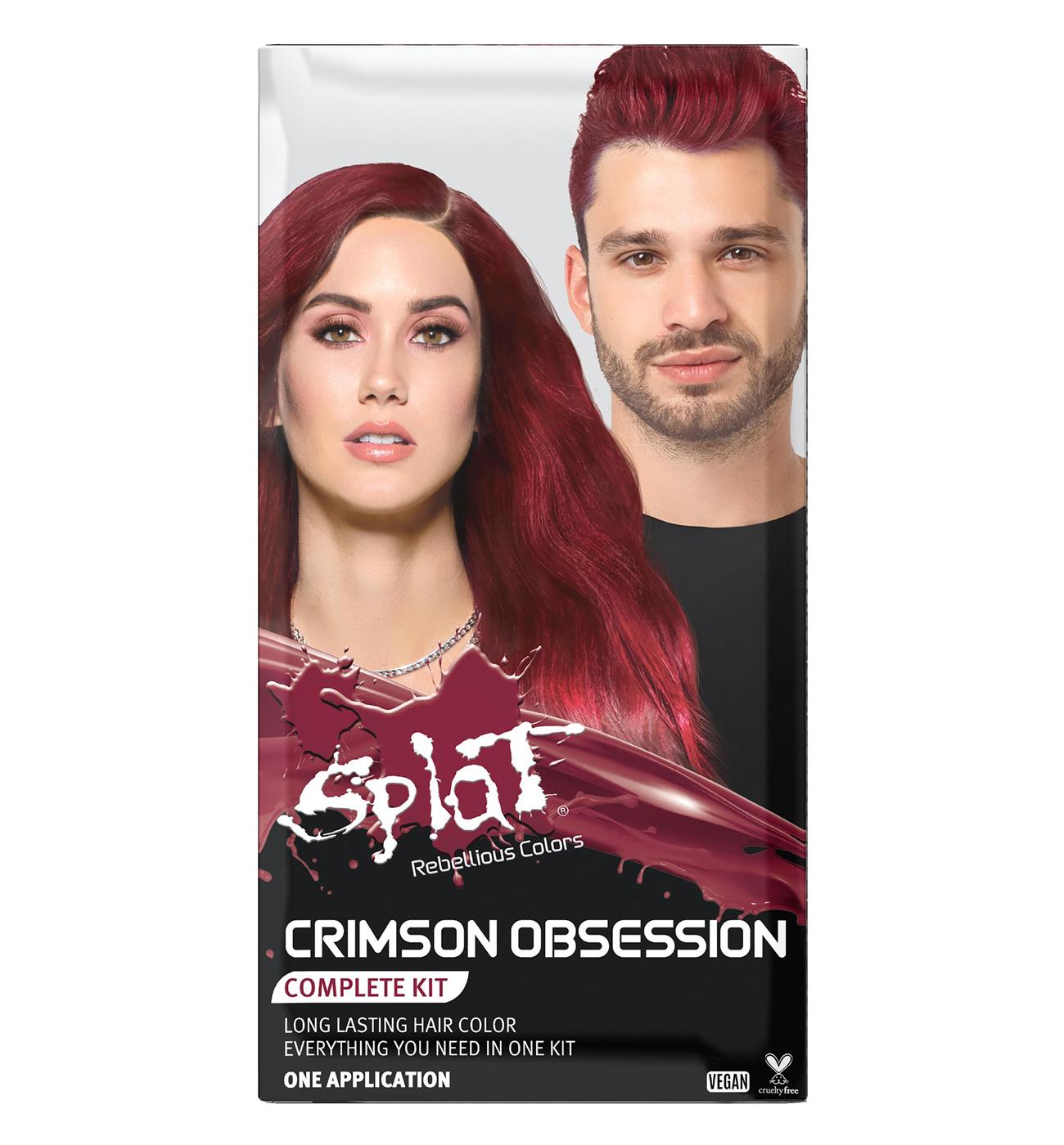 Splat Rebellious Colors Purple Desire Complete Kit - Shop Hair color at ...