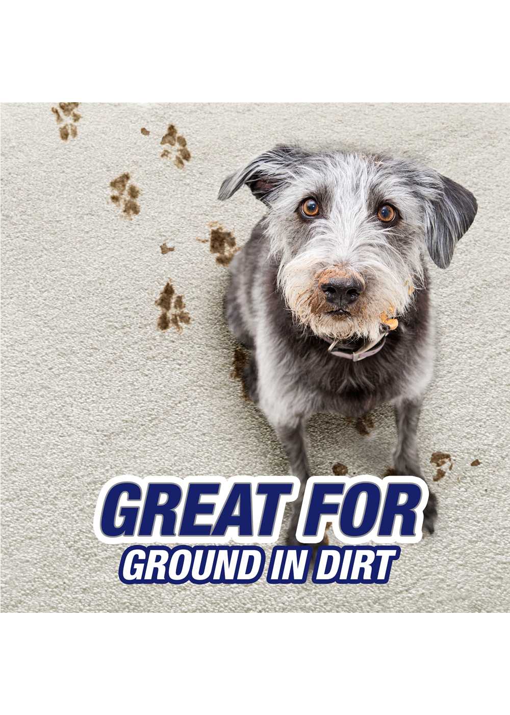 Resolve Pet Expert, High Traffic Carpet Cleaner, Pet Stain and Odor ...