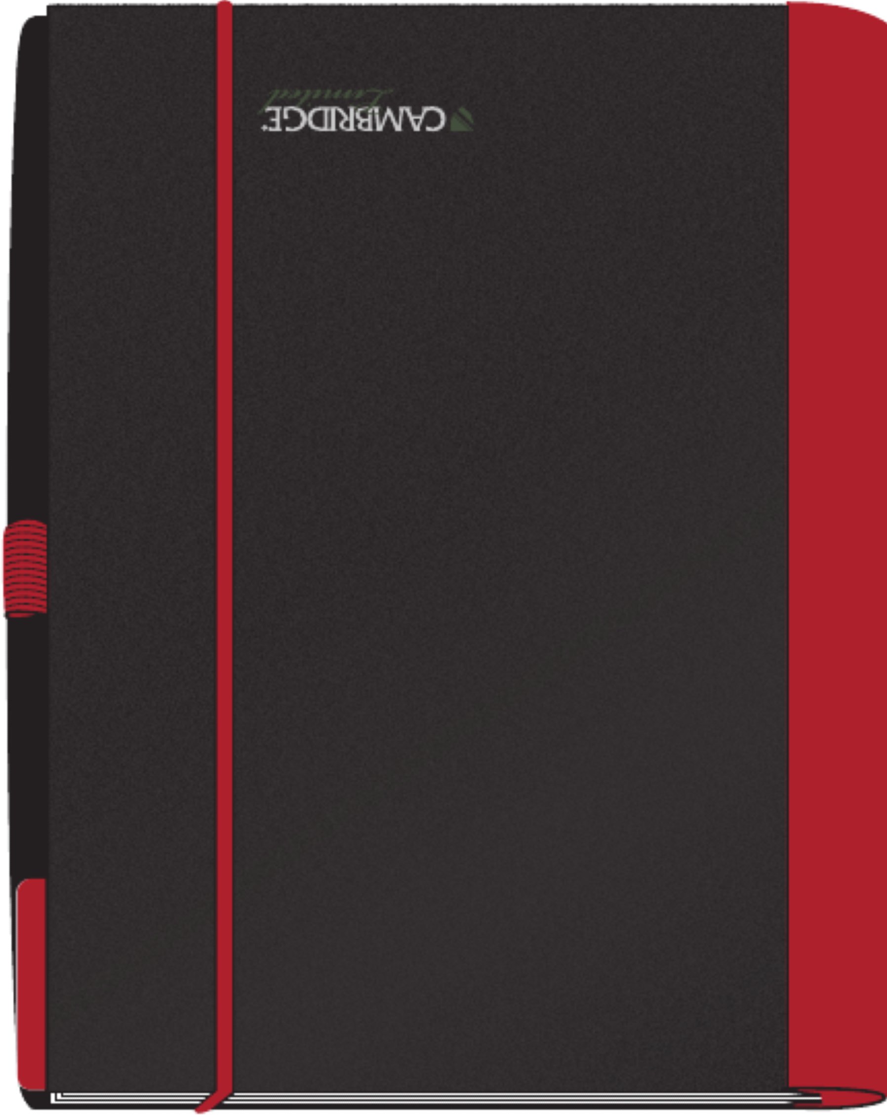 Cambridge Accents Legal Ruled Business Notebook, 100 Sheets, Assorted ...