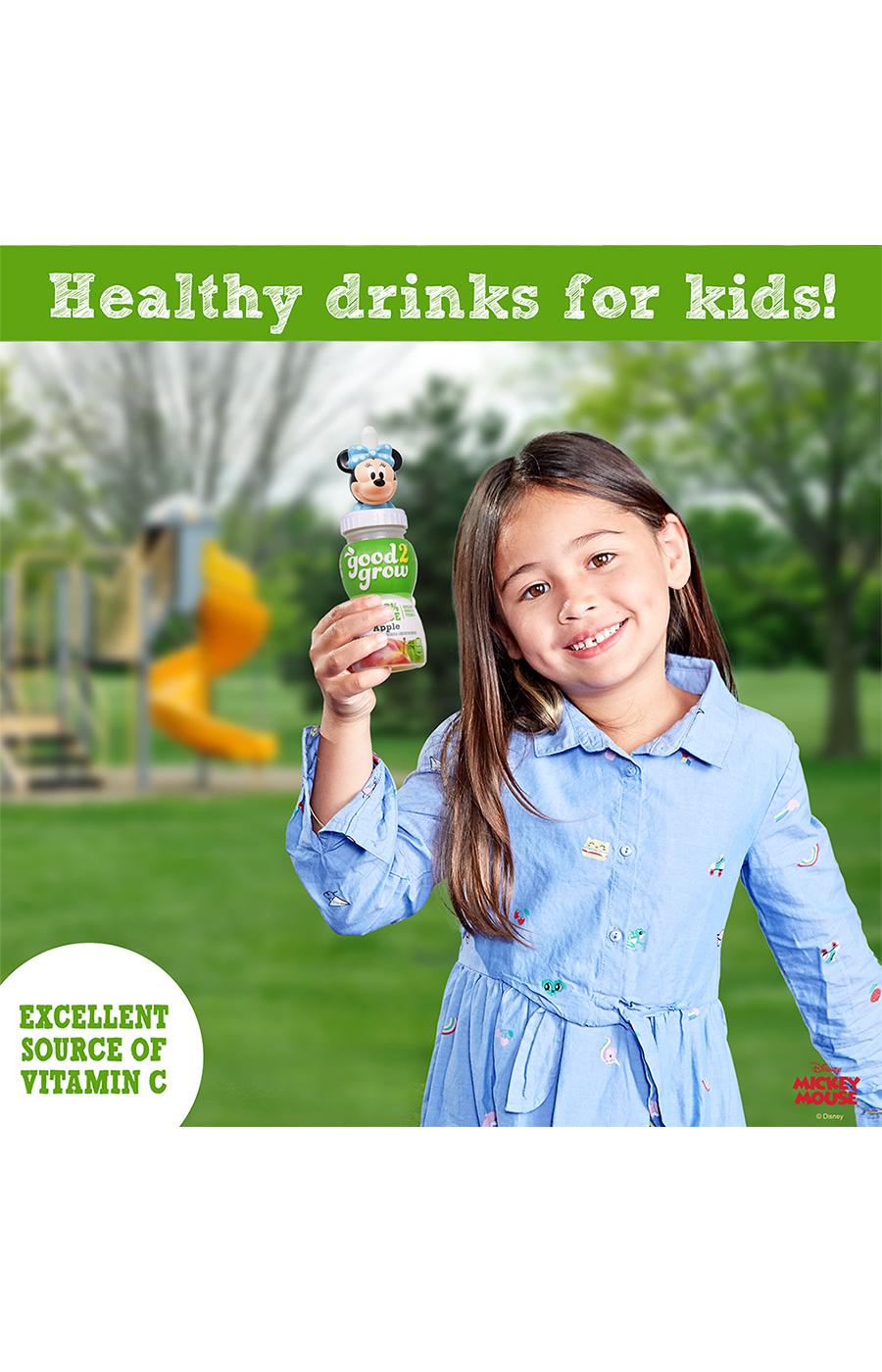 good2grow 100% Apple Juice - Shop Juice at H-E-B