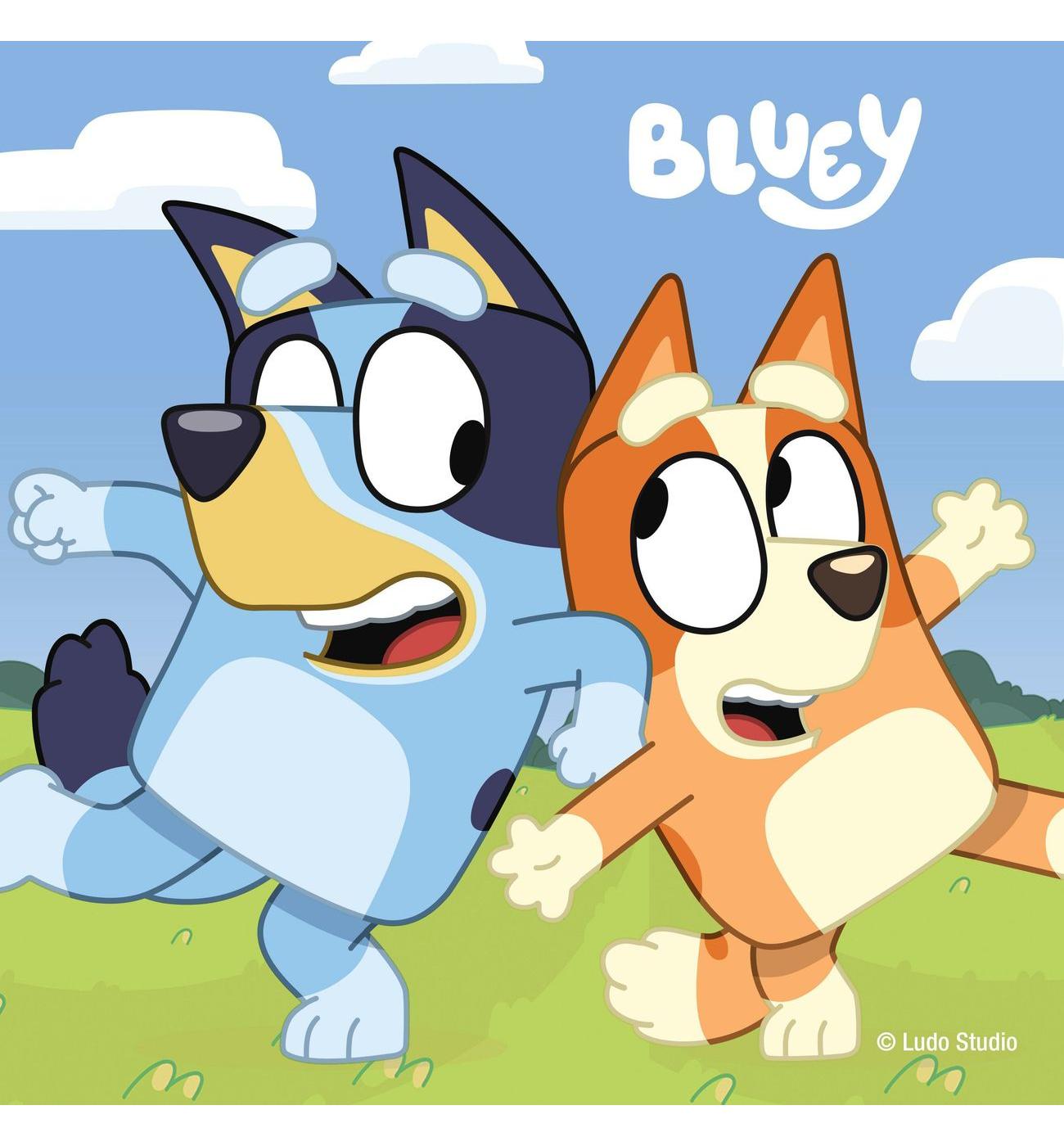 Yoplait Bluey Low-Fat Raspberry & Strawberry Banana Yogurt Value Pack ...