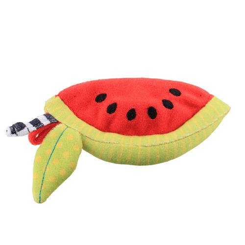 Sassy Watermelon Wet & Freeze Teether - Shop Teething at H-E-B