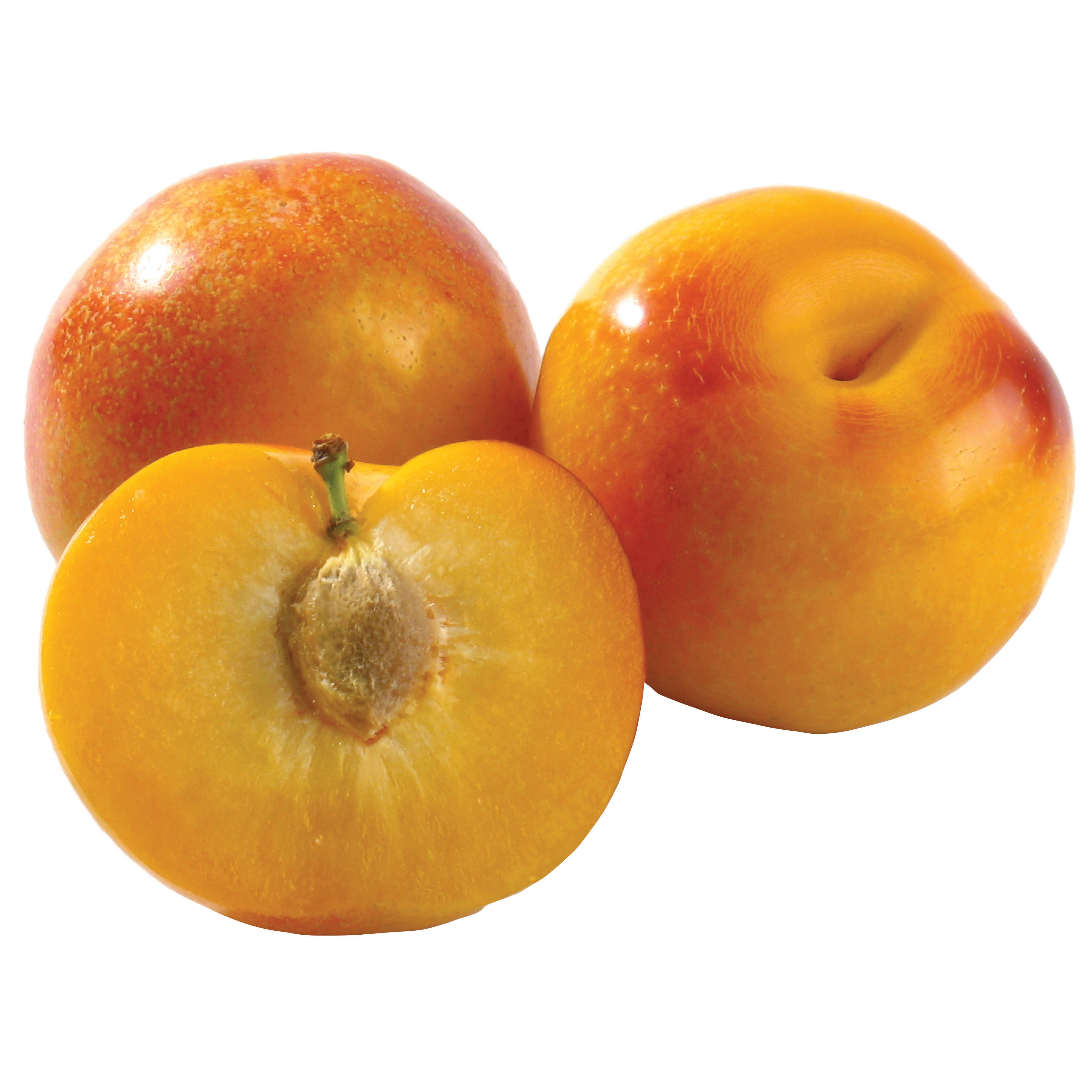 Fresh Tropical Sunrise Plumcot - Shop Fruit at H-E-B