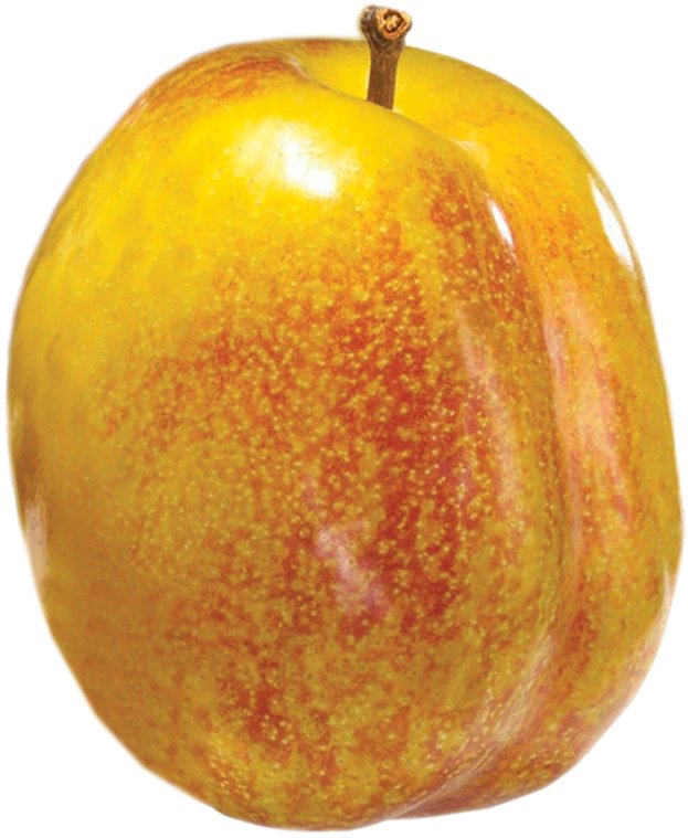 Fresh Flavor Grenade Plumcots - Shop Fruit at H-E-B