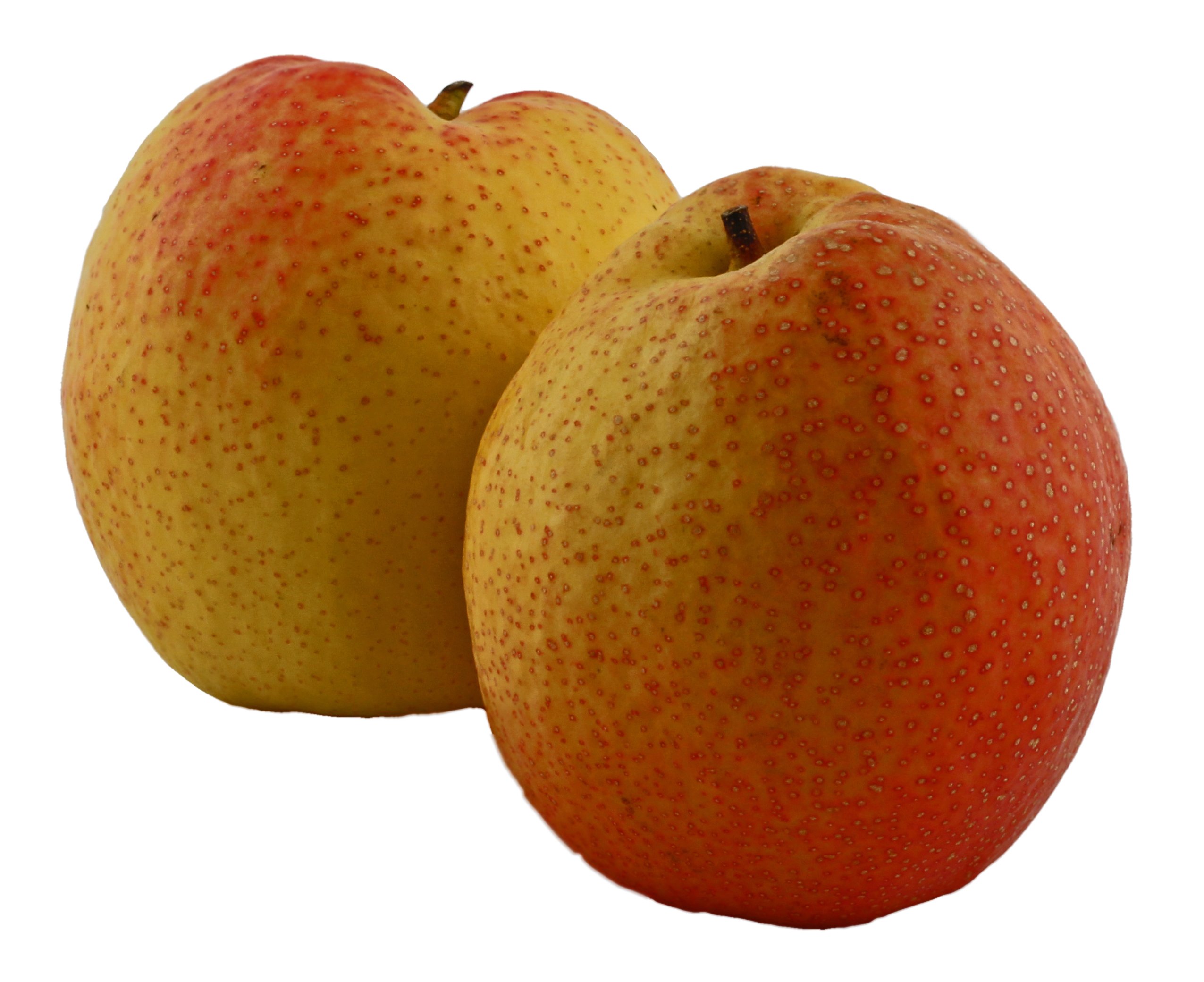 Fresh Papple Red Pear - Shop Fruit at H-E-B