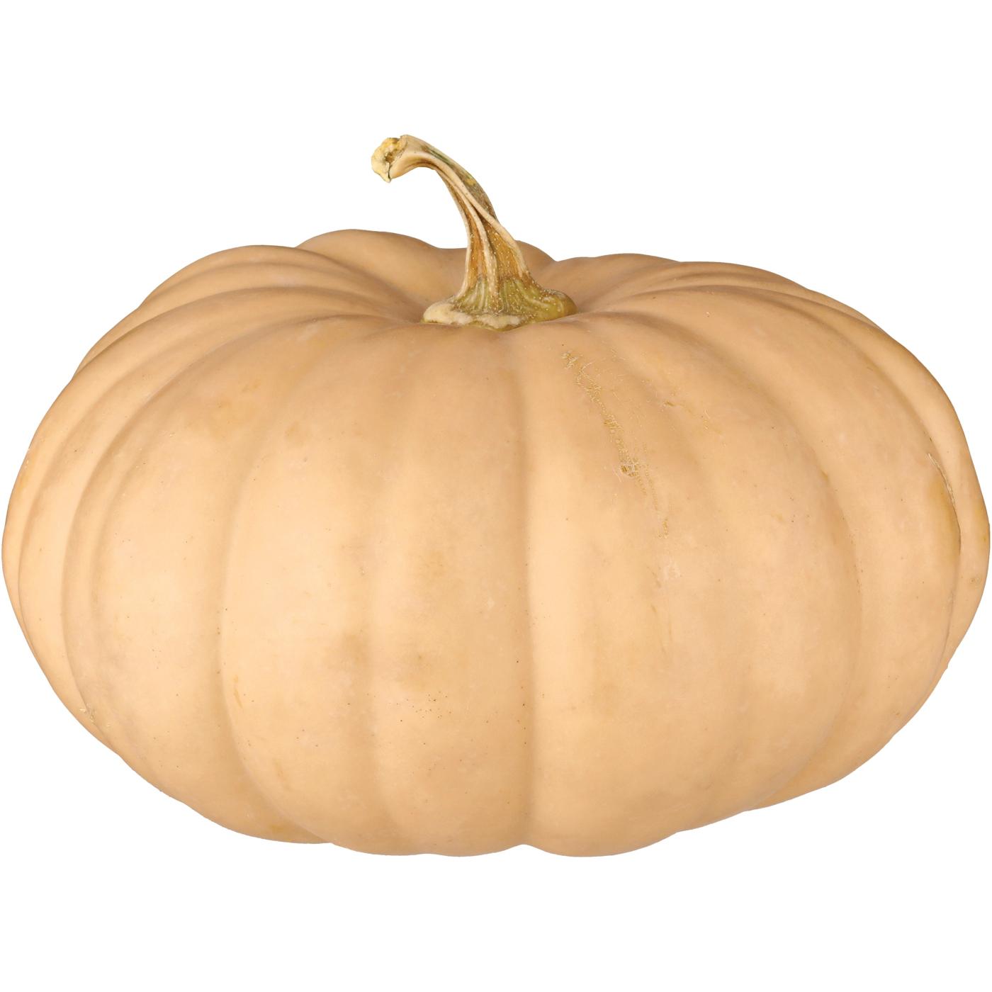 H-E-B Texas Roots Sweet Hazel Baking Pumpkin - Shop Squash & pumpkins ...