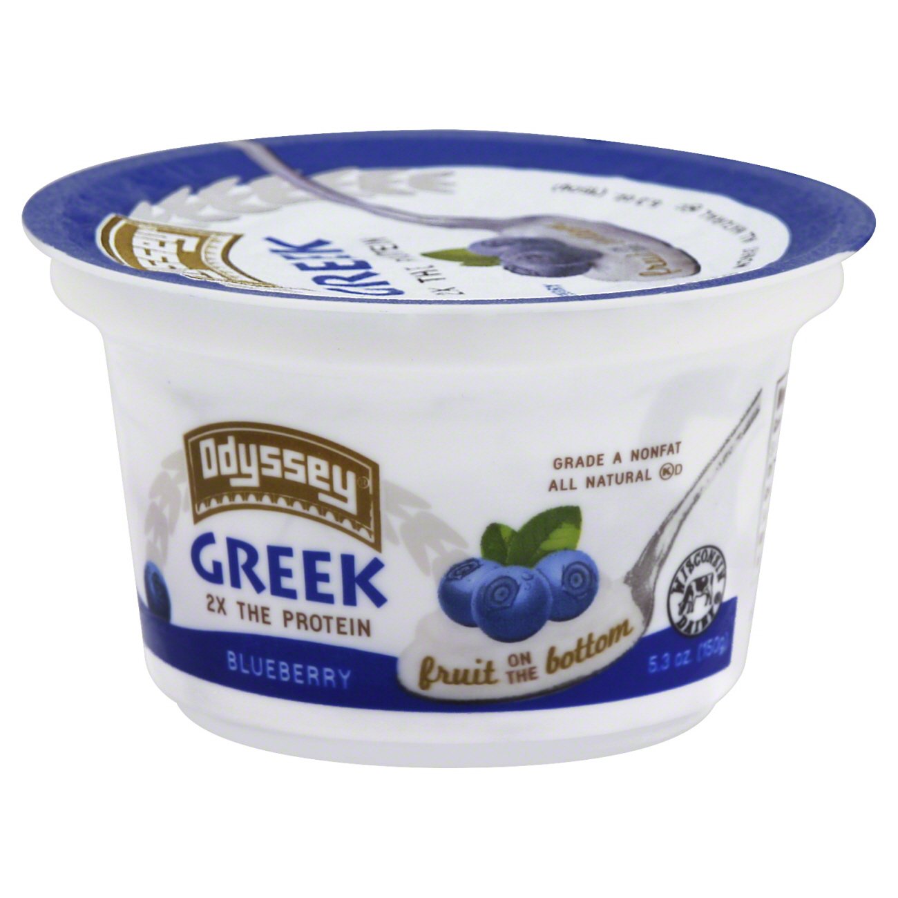 Central Market Odyssey Greek Yogurt Blueberry - Shop Yogurt at H-E-B