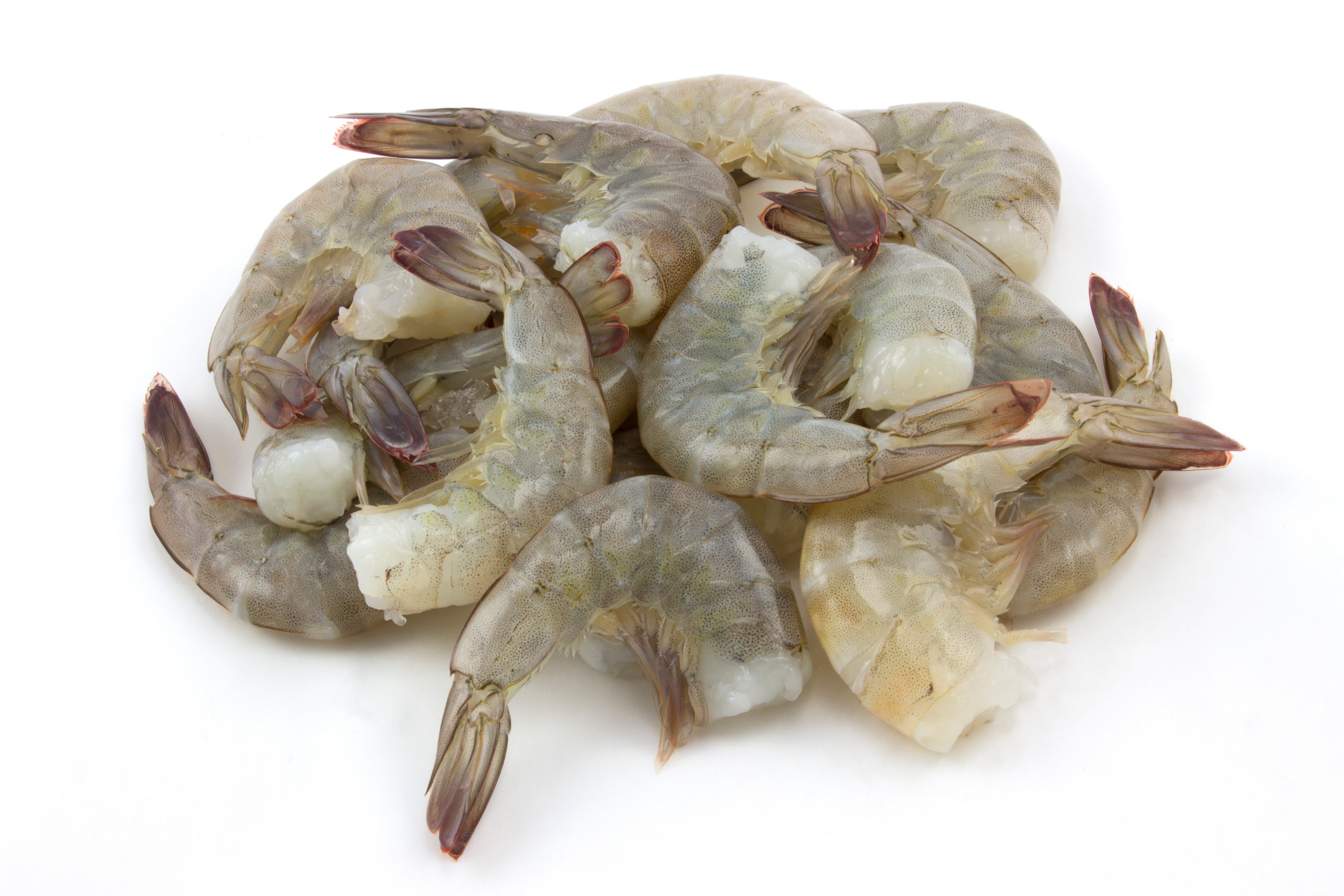 H-E-B Responsibly Raised Shell-On Extra Large White Raw Shrimp, 26 - 30 ...