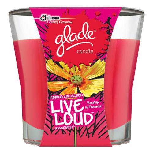 Glade Spring Collection Live Loud Jar Candle - Shop Candles at H-E-B