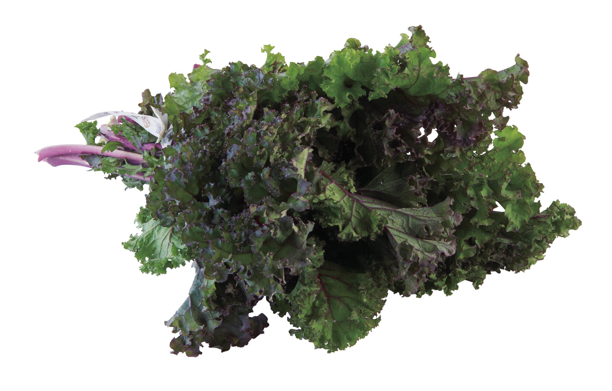 Fresh Variety Kale, Each | Central Market - Really Into Food