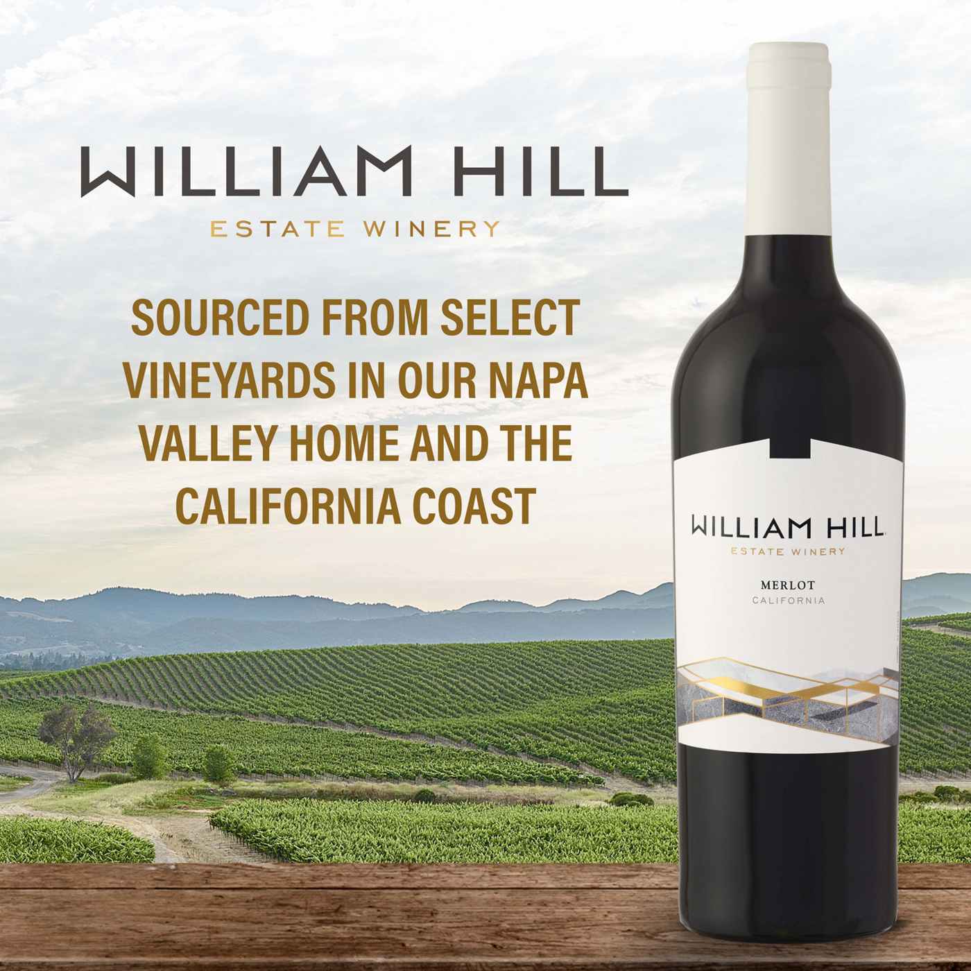 William Hill Central Coast Merlot Red Wine - Shop Wine at H-E-B