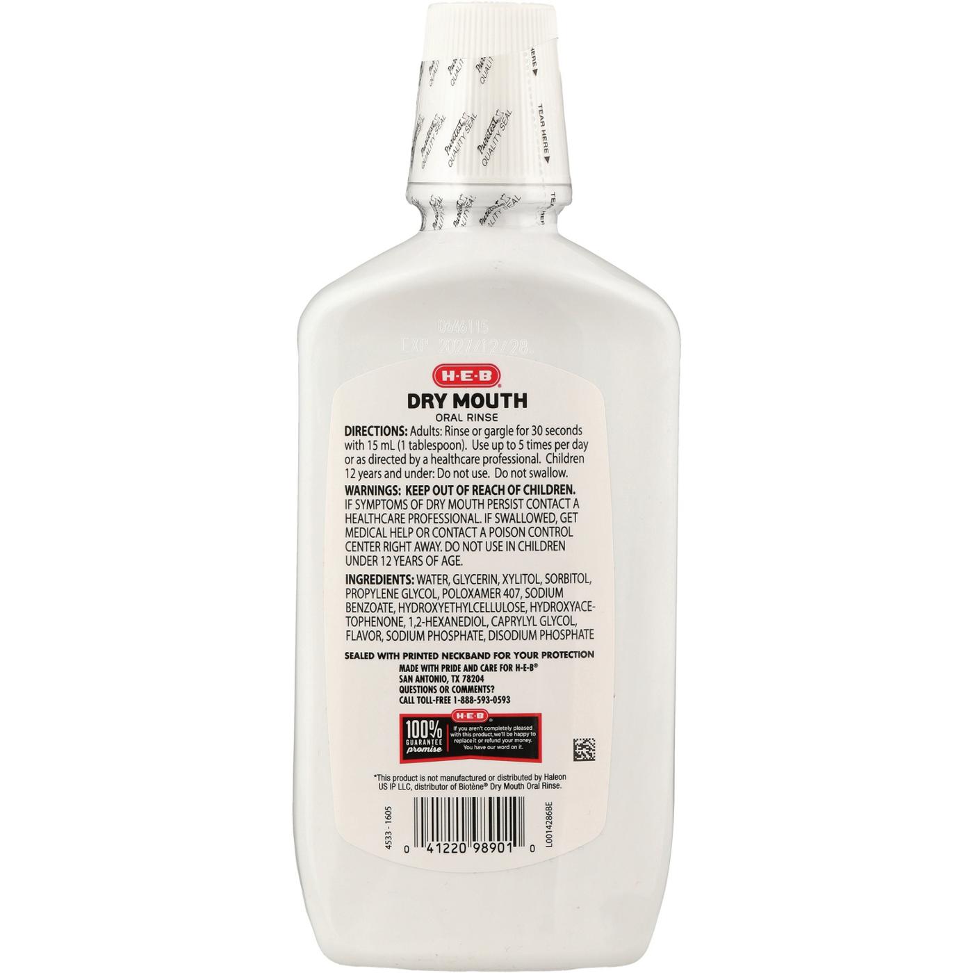 H-E-B Dry Mouth Oral Rinse - Mint - Shop Mouthwash at H-E-B