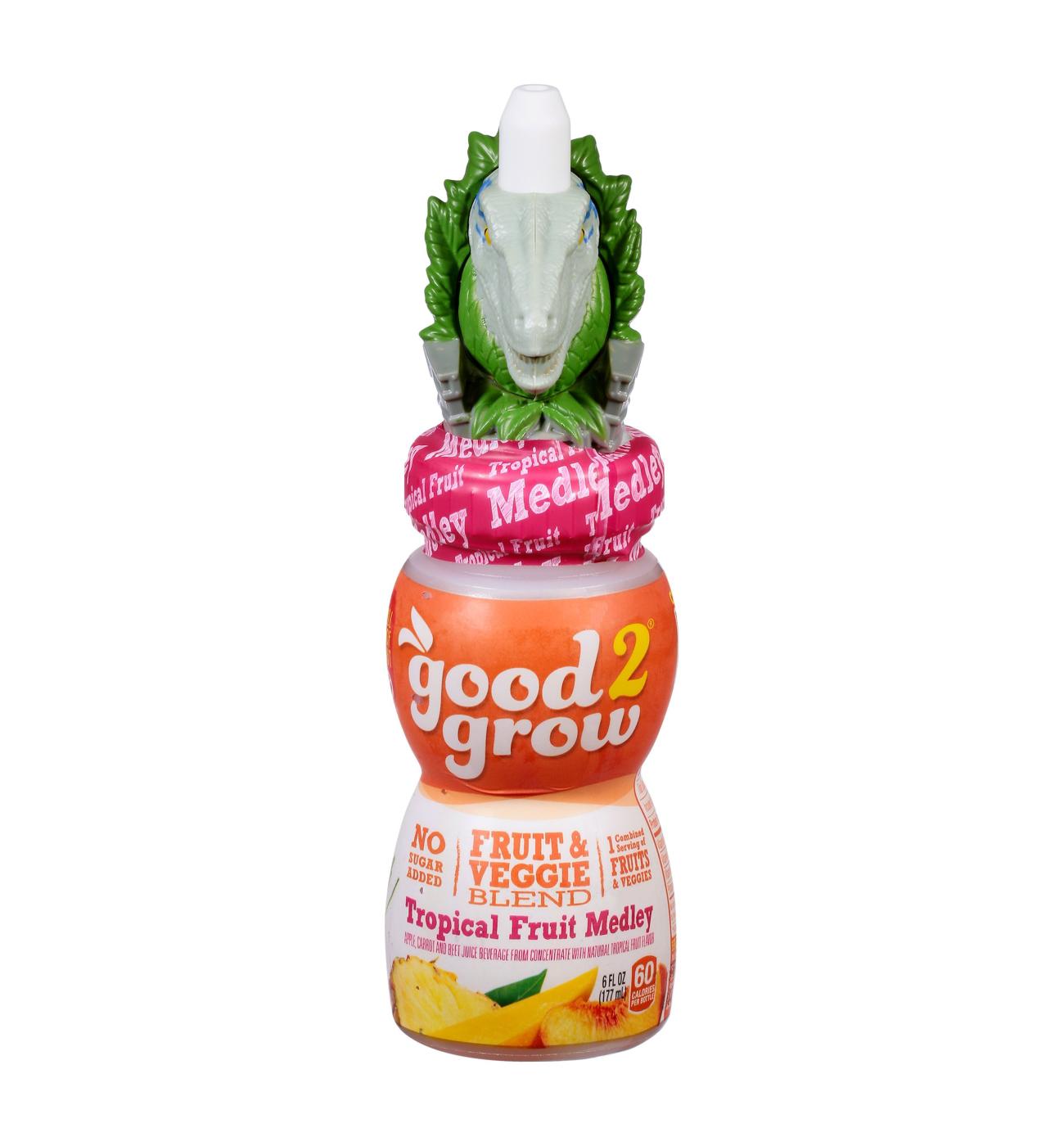 good2grow Tropical Fruit Medley and Veggie Blend Single Serve ...