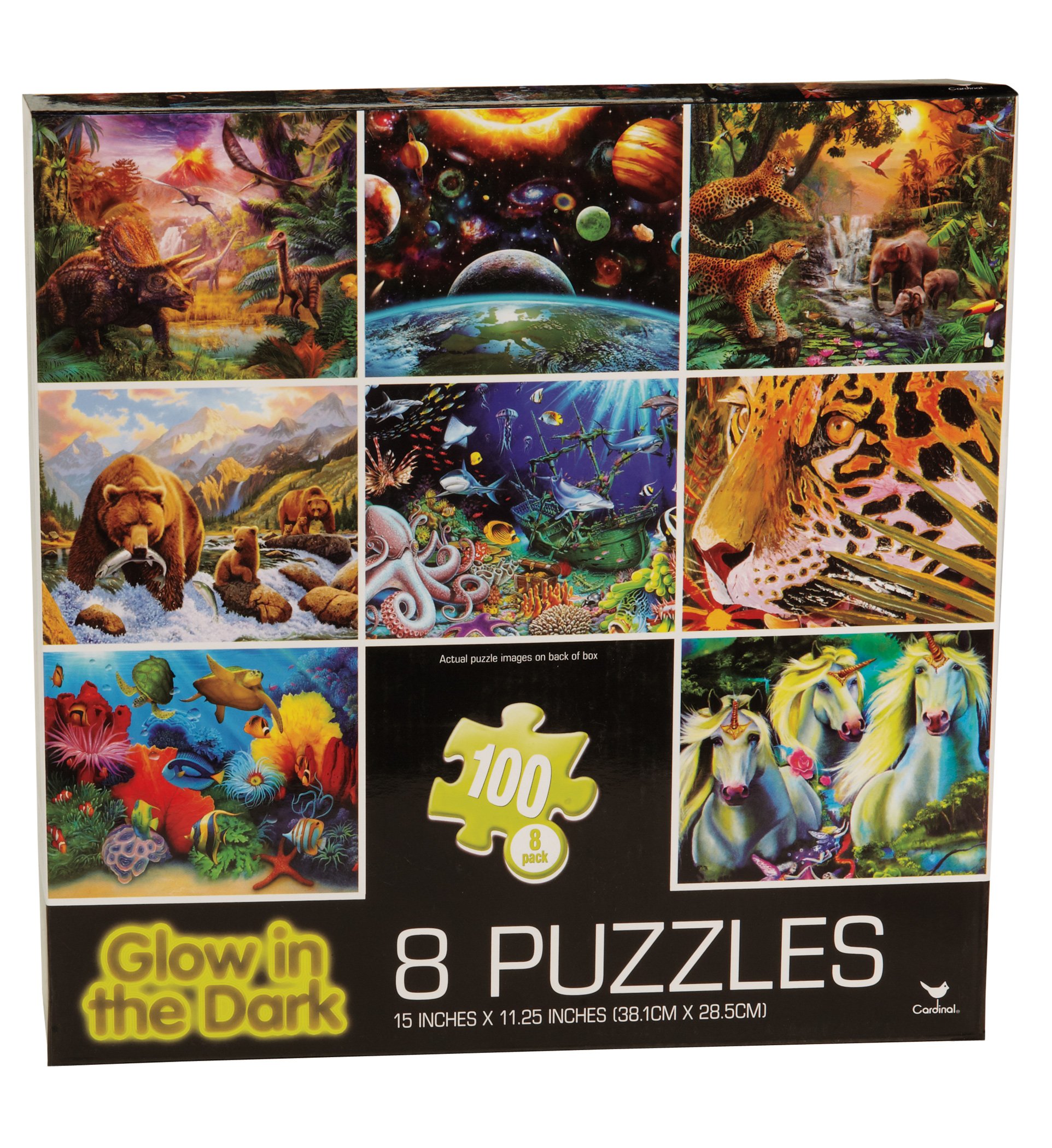 Cardinal Industries Deluxe Glow in the Dark Puzzle Pack - Shop Puzzles ...