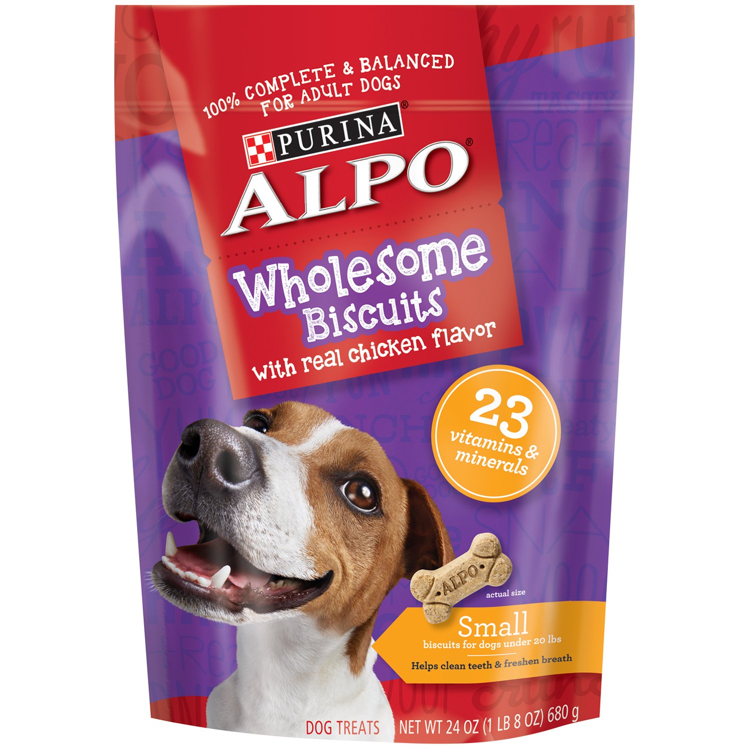 Purina Wholesome Small Dog Biscuits with Chicken - Shop Biscuits at H-E-B