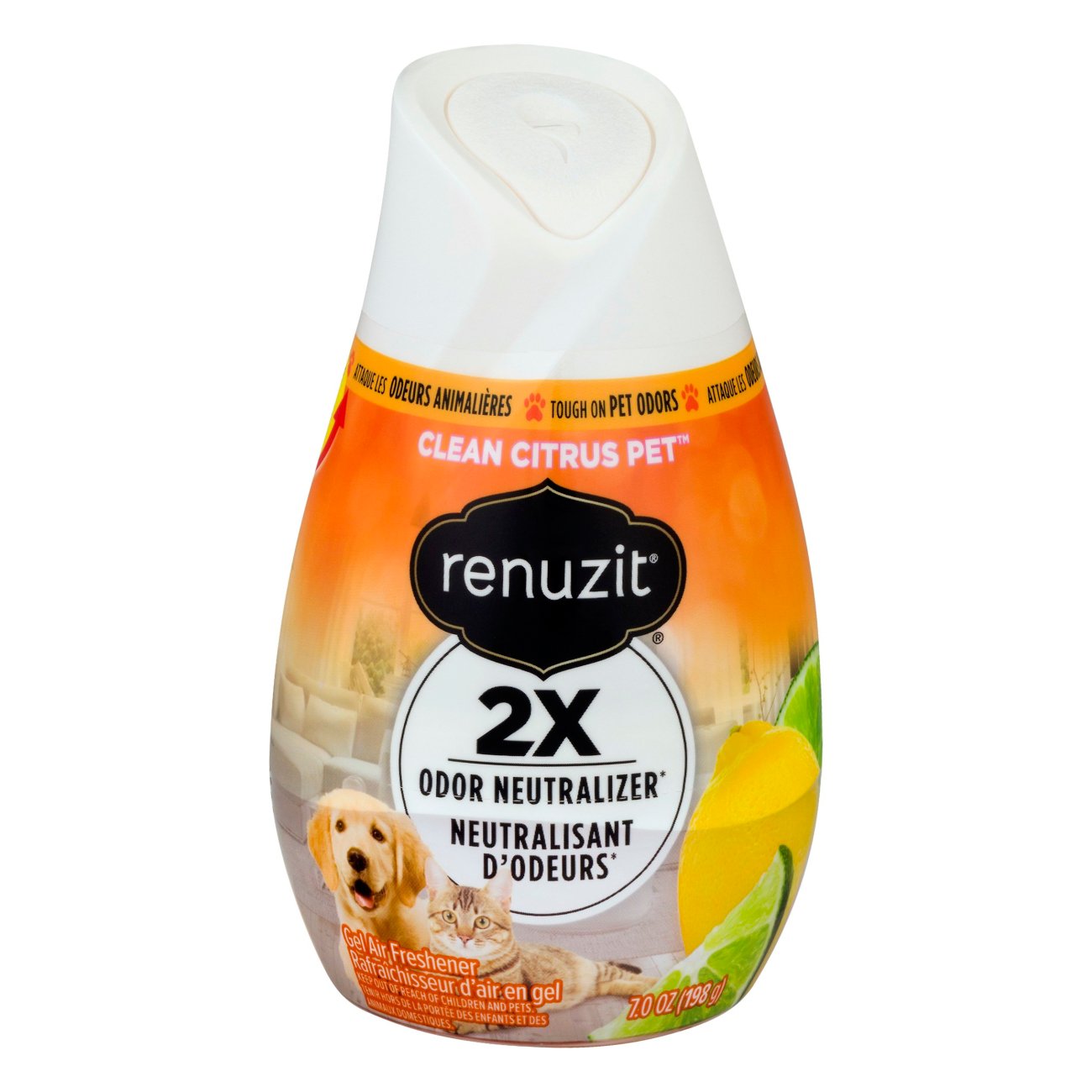 Renuzit Clean Citrus Pet Gel Air Freshener - Shop Air Fresheners ...