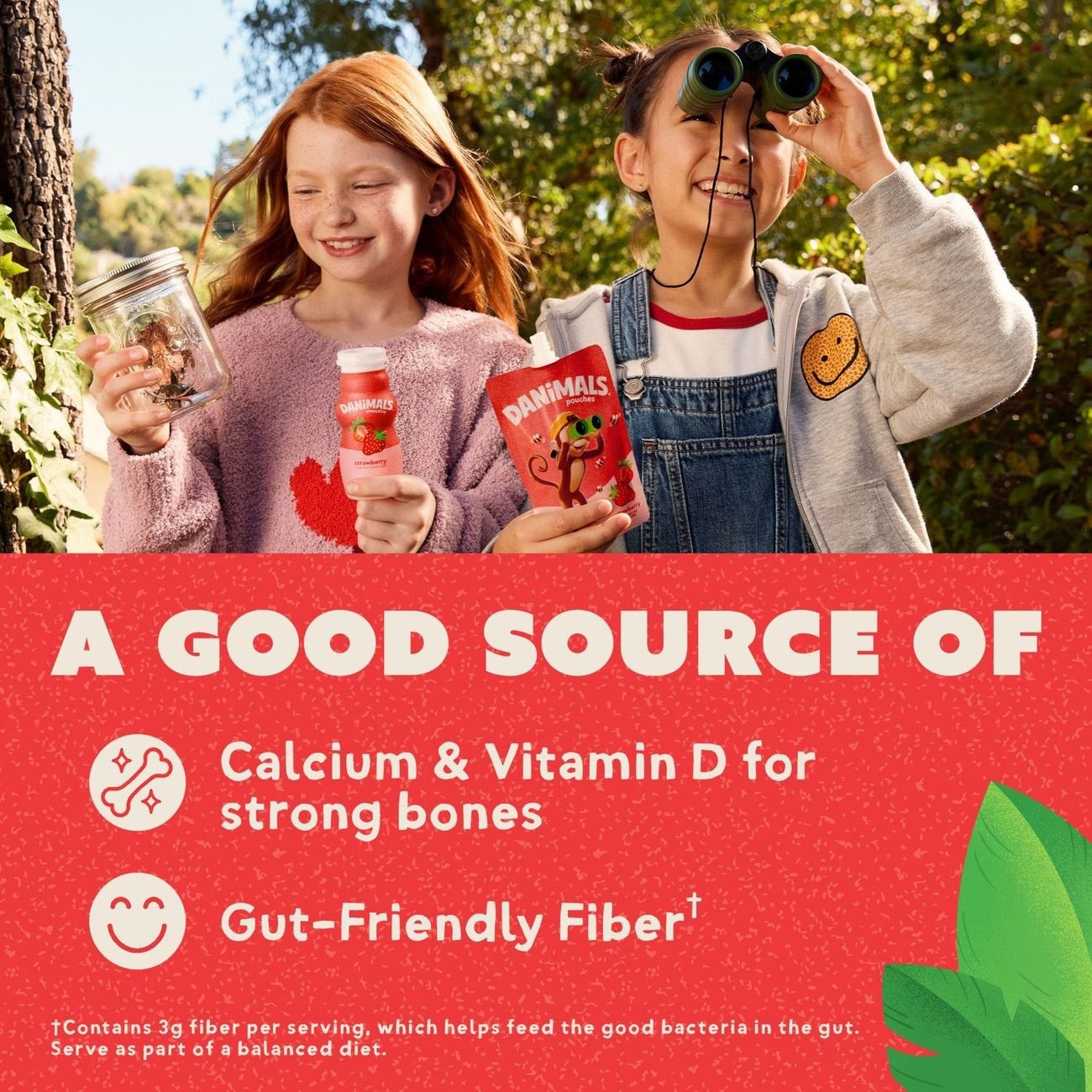 Danimals Yogurt Nutrition Label
