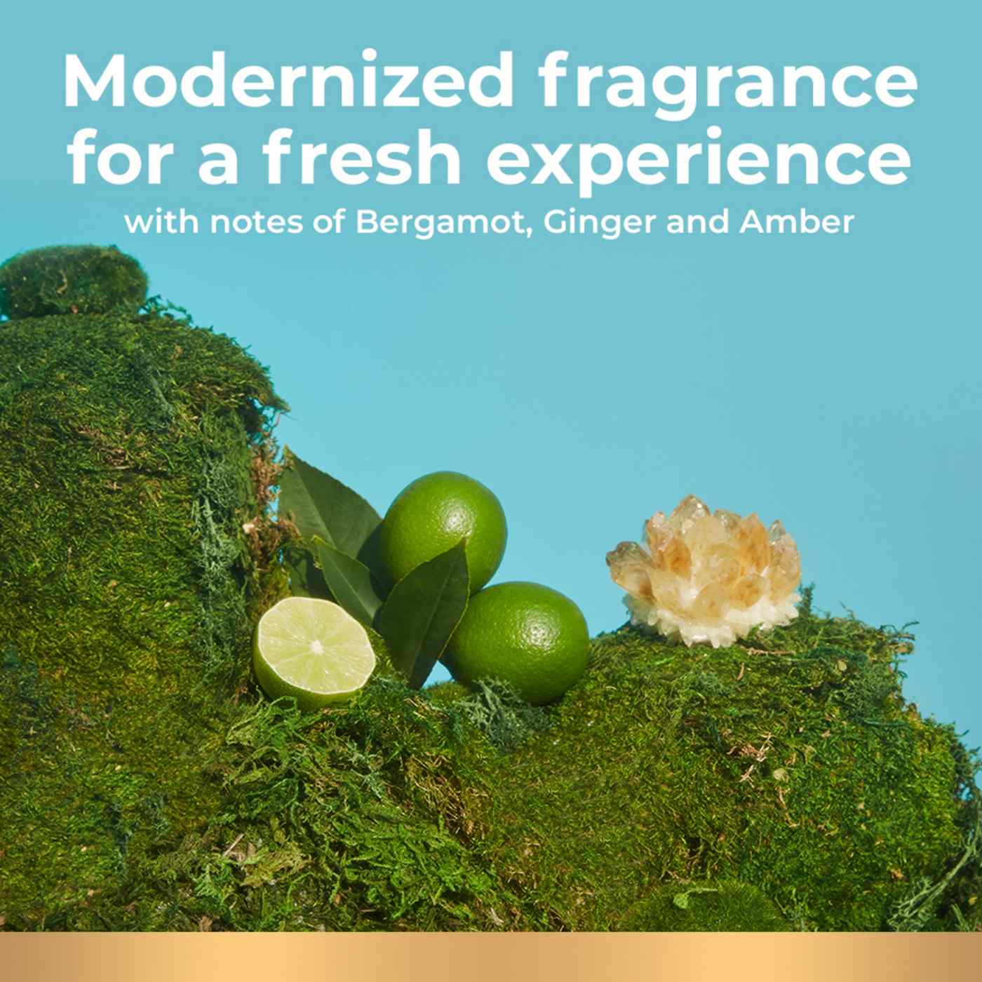 Irish Spring Moisture Blast Deodorant Bar Soap for Men - Shop Hand ...