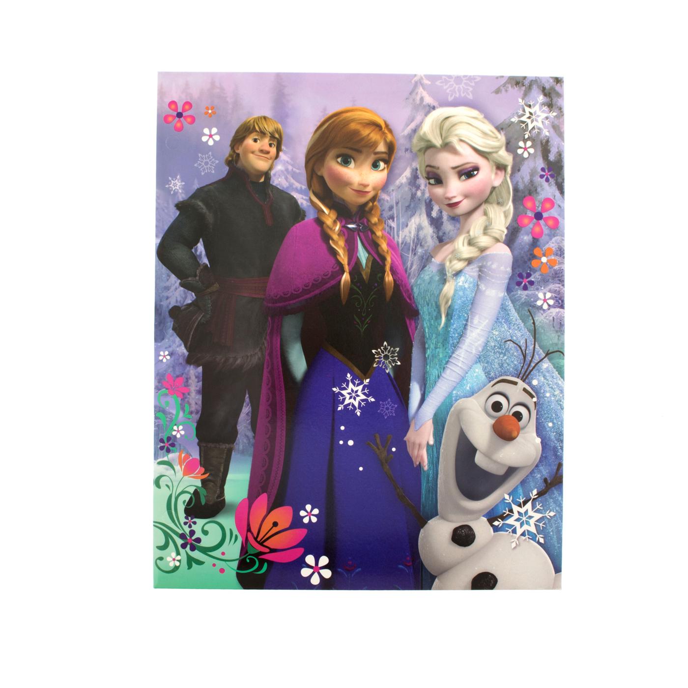 Innovative Designs Disney Frozen Portfolios - Shop Folders at H-E-B