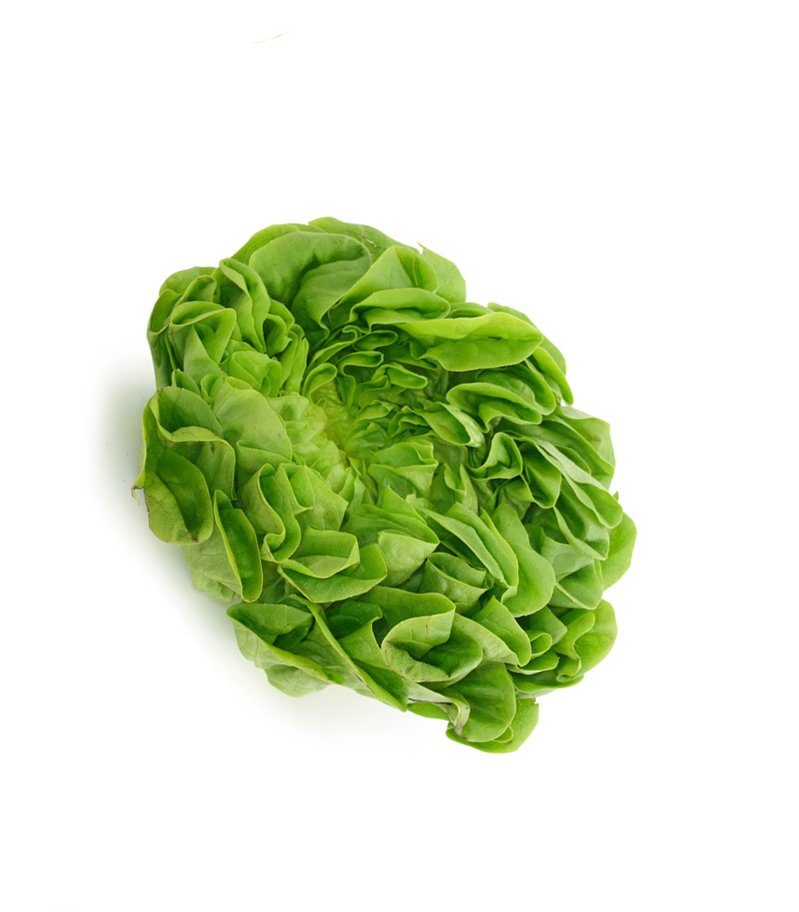 Pure Flavor Living Green Boston Lettuce - Shop Lettuce & leafy greens ...