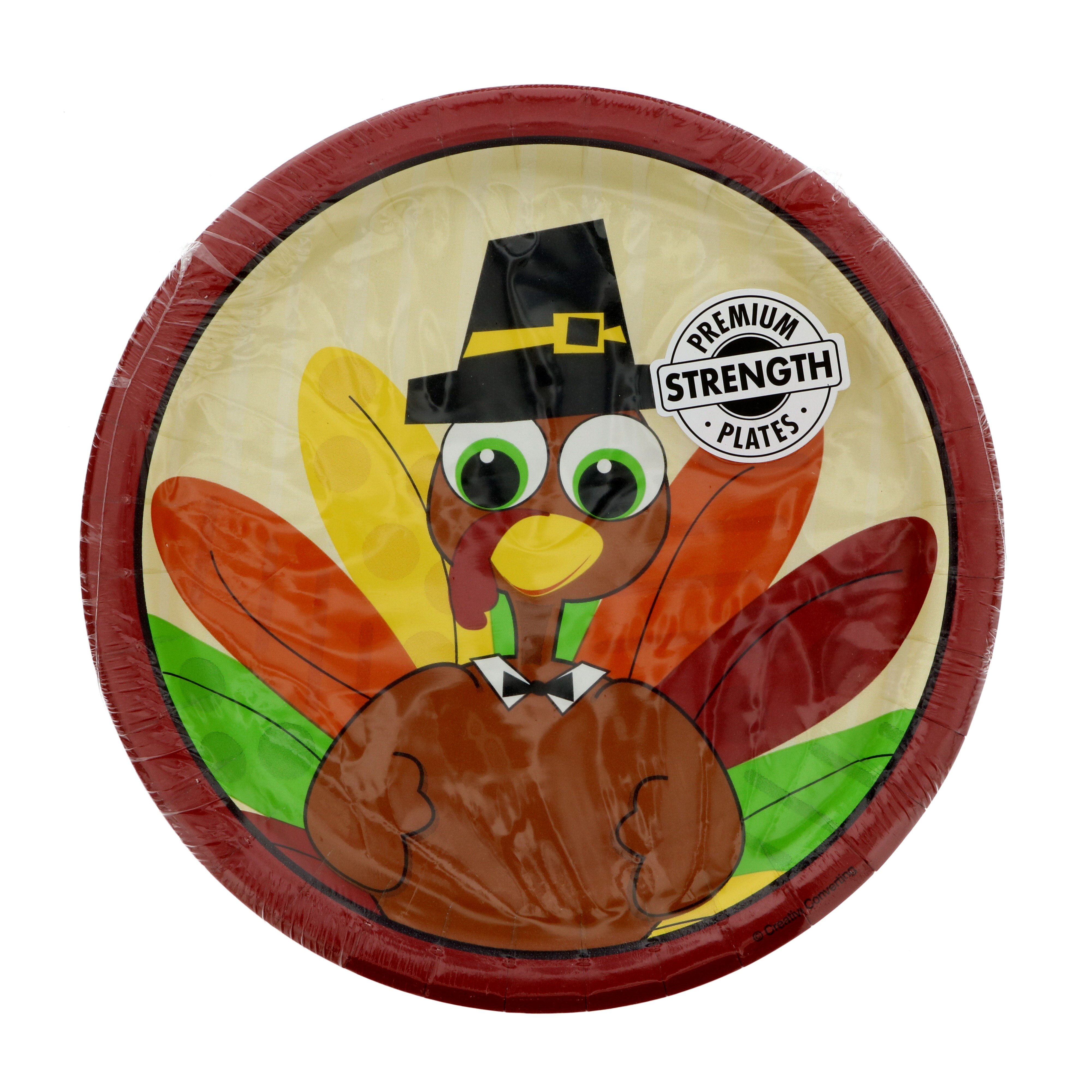 Creative Converting Thanksgiving Lunch Plate Kids Activity - Shop ...