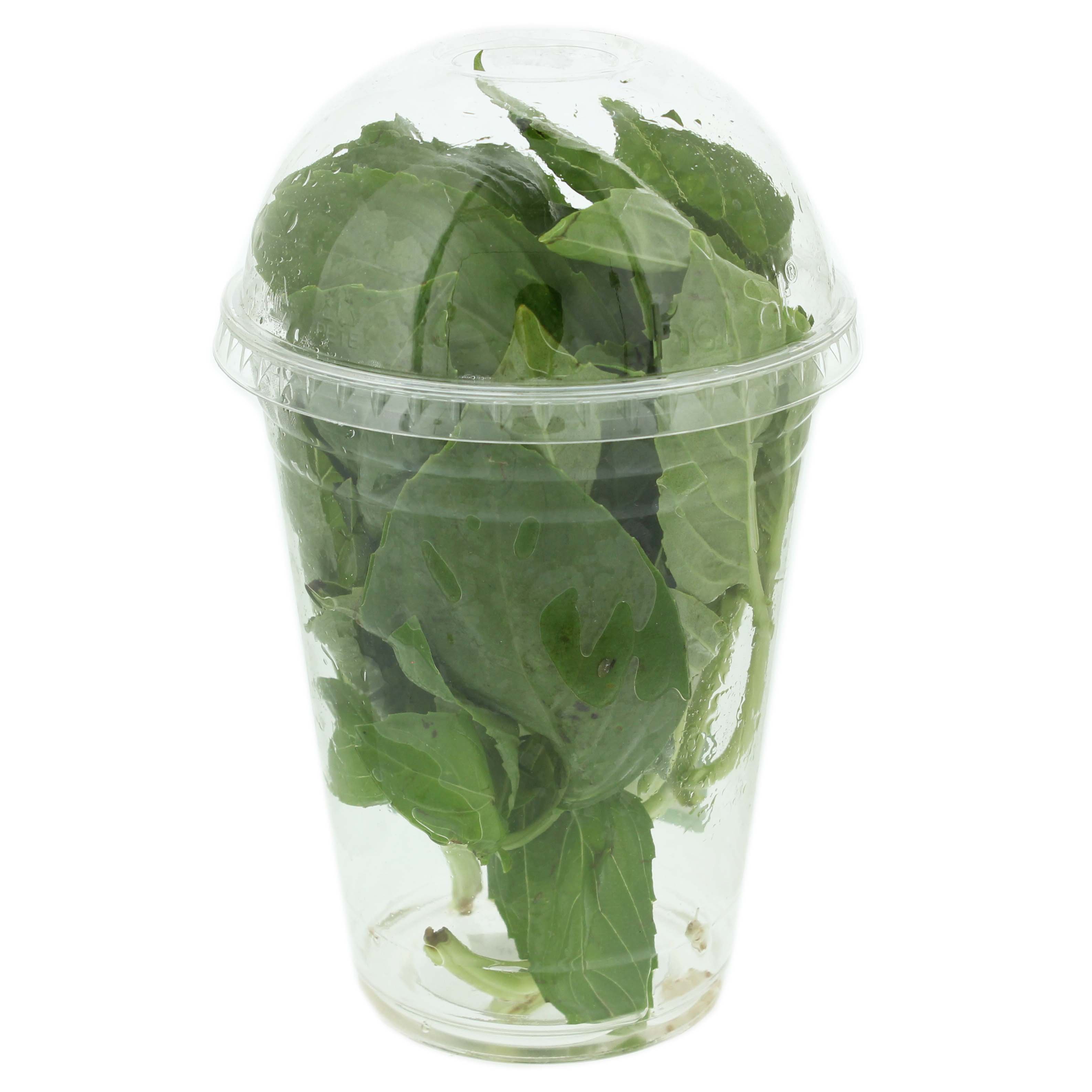 Fresh Aqua-dome Basil - Shop Herbs at H-E-B