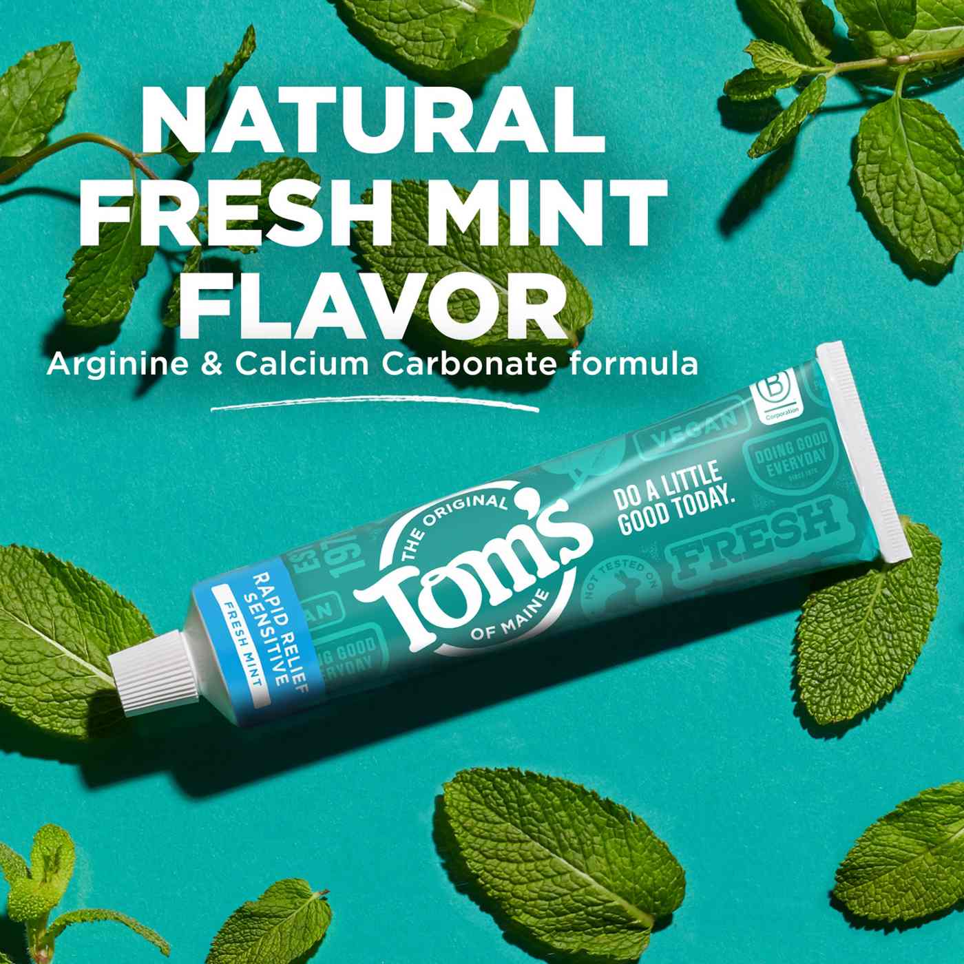 Tom's of Maine Rapid Relief Sensitive Toothpaste - Fresh Mint - Shop ...