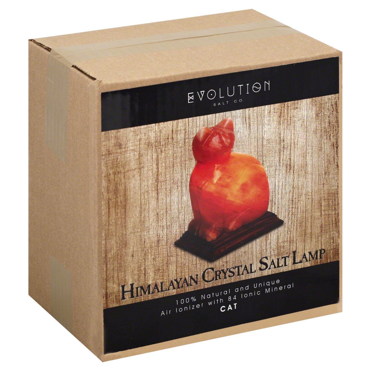Evolution Salt Himalayan Crystal Salt Cat Lamp - Shop Diffusers at H-E-B