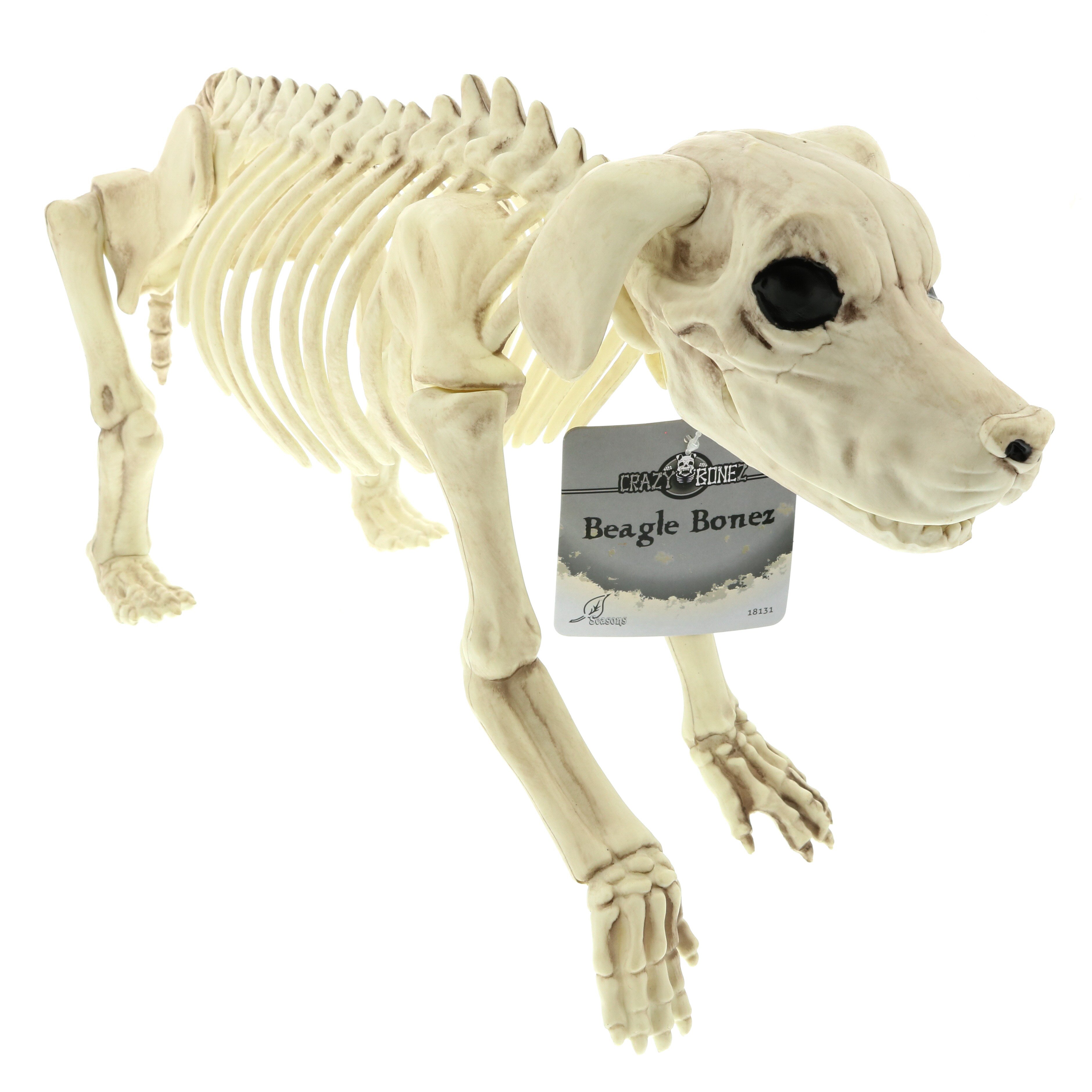 Seasons USA Skeleton Beagle - Shop Seasonal decor at H-E-B